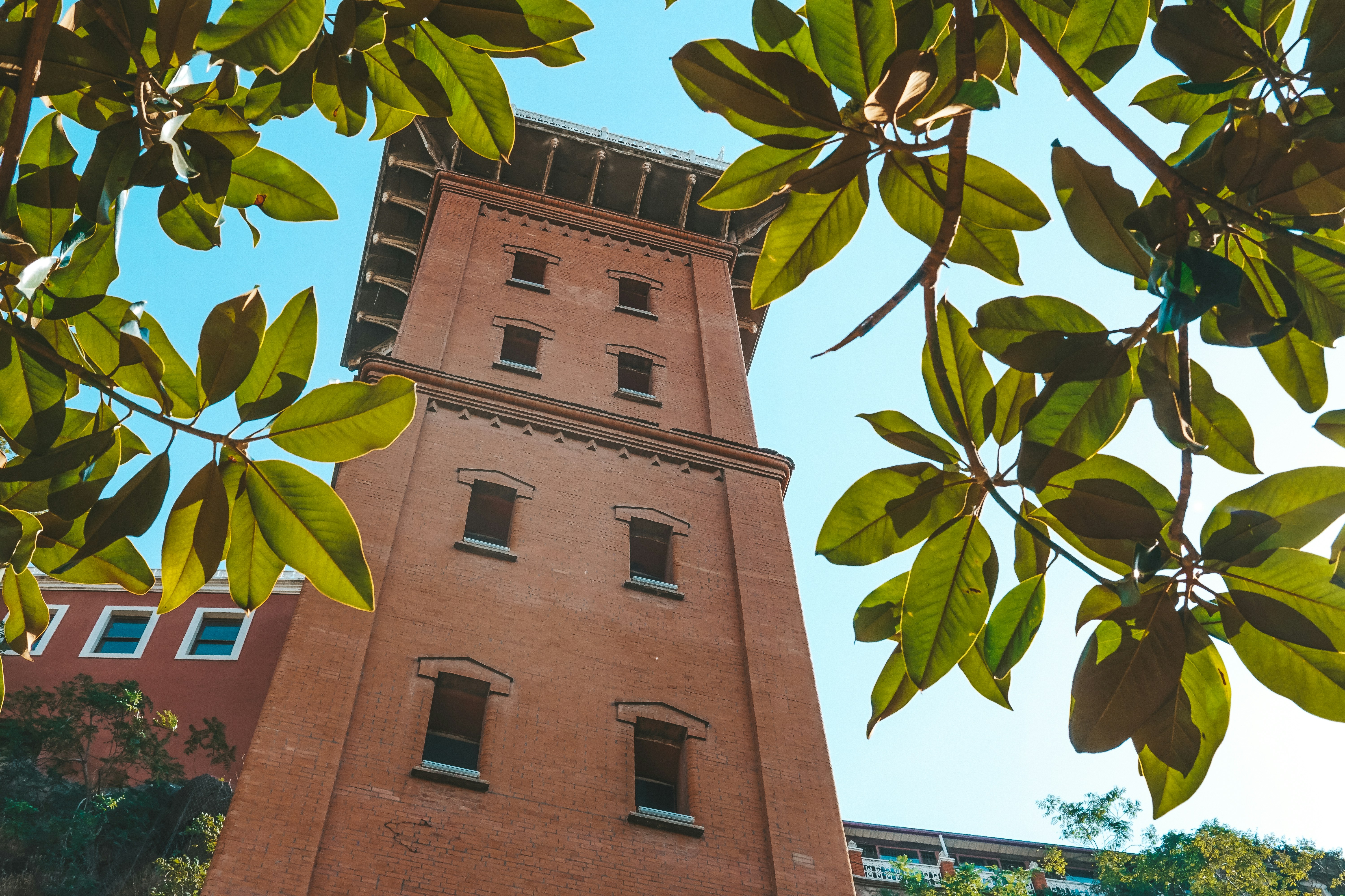 Brick Tower Framed by a Lush Canopy Under a Cerulean Sky