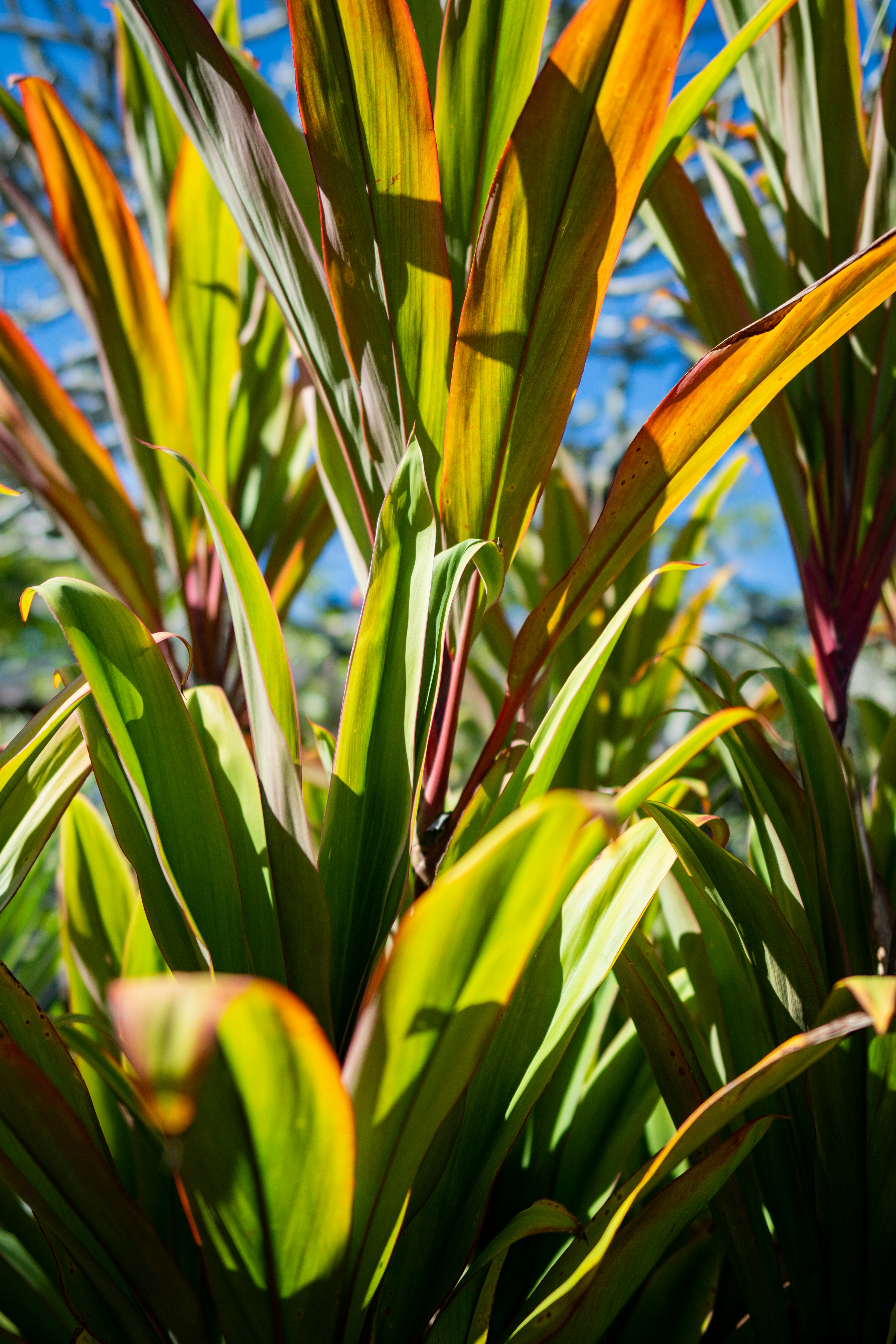 Photo by Localize with Sony Alpha 6400