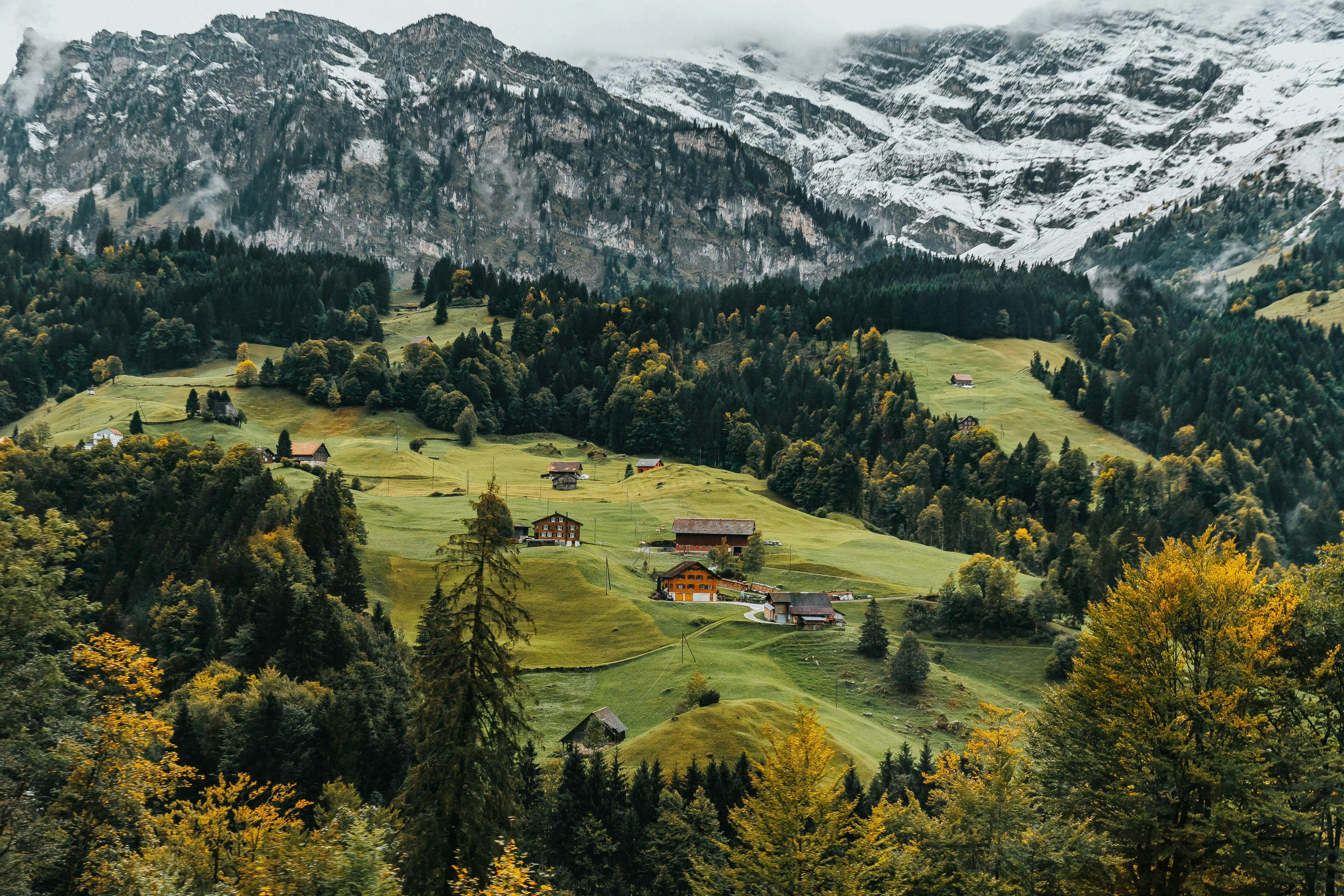 A valley with trees and houses in it and mountains in the background ...