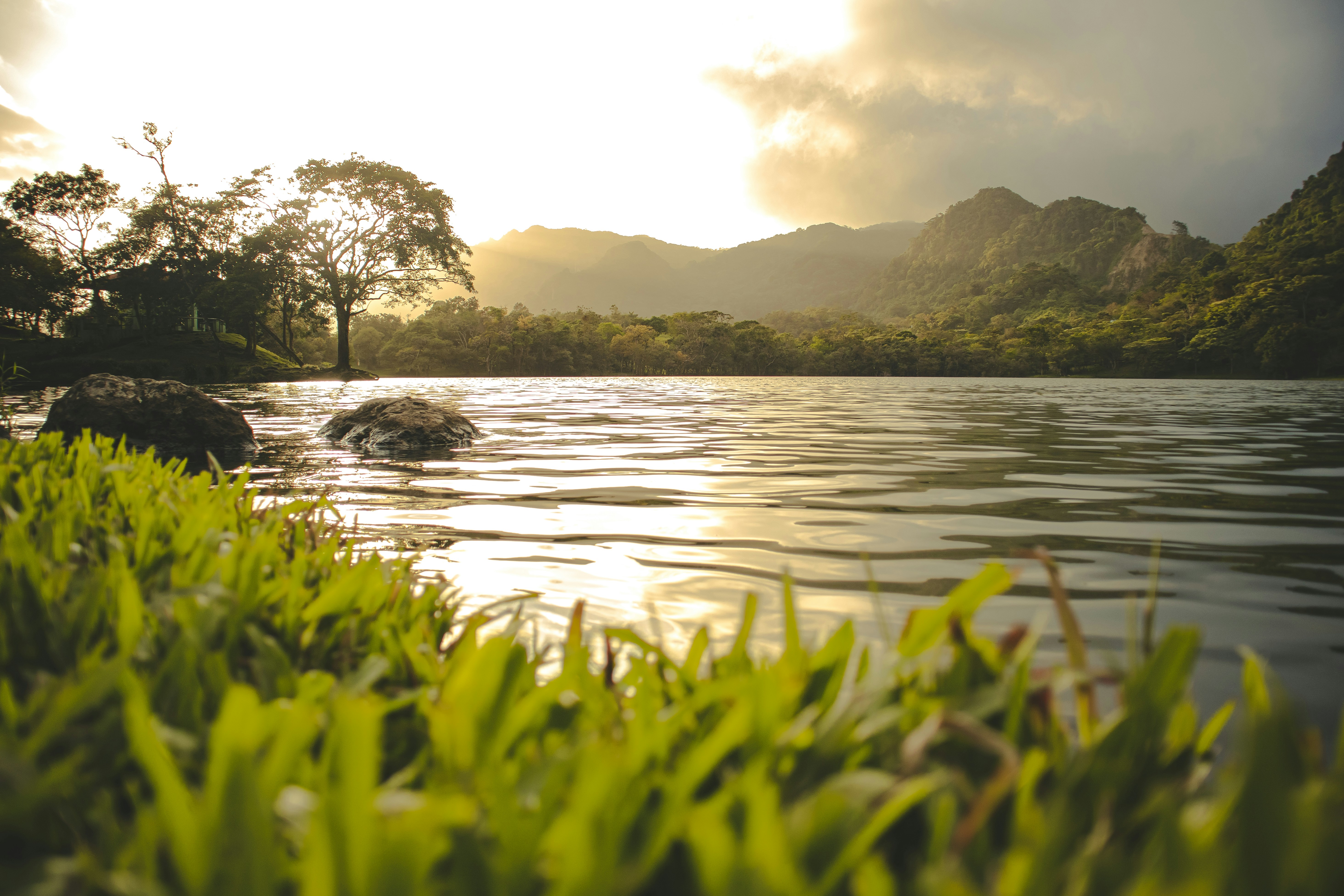 Sunlit Lakeside Retreat: Hills, Water, and Fresh Green Edge