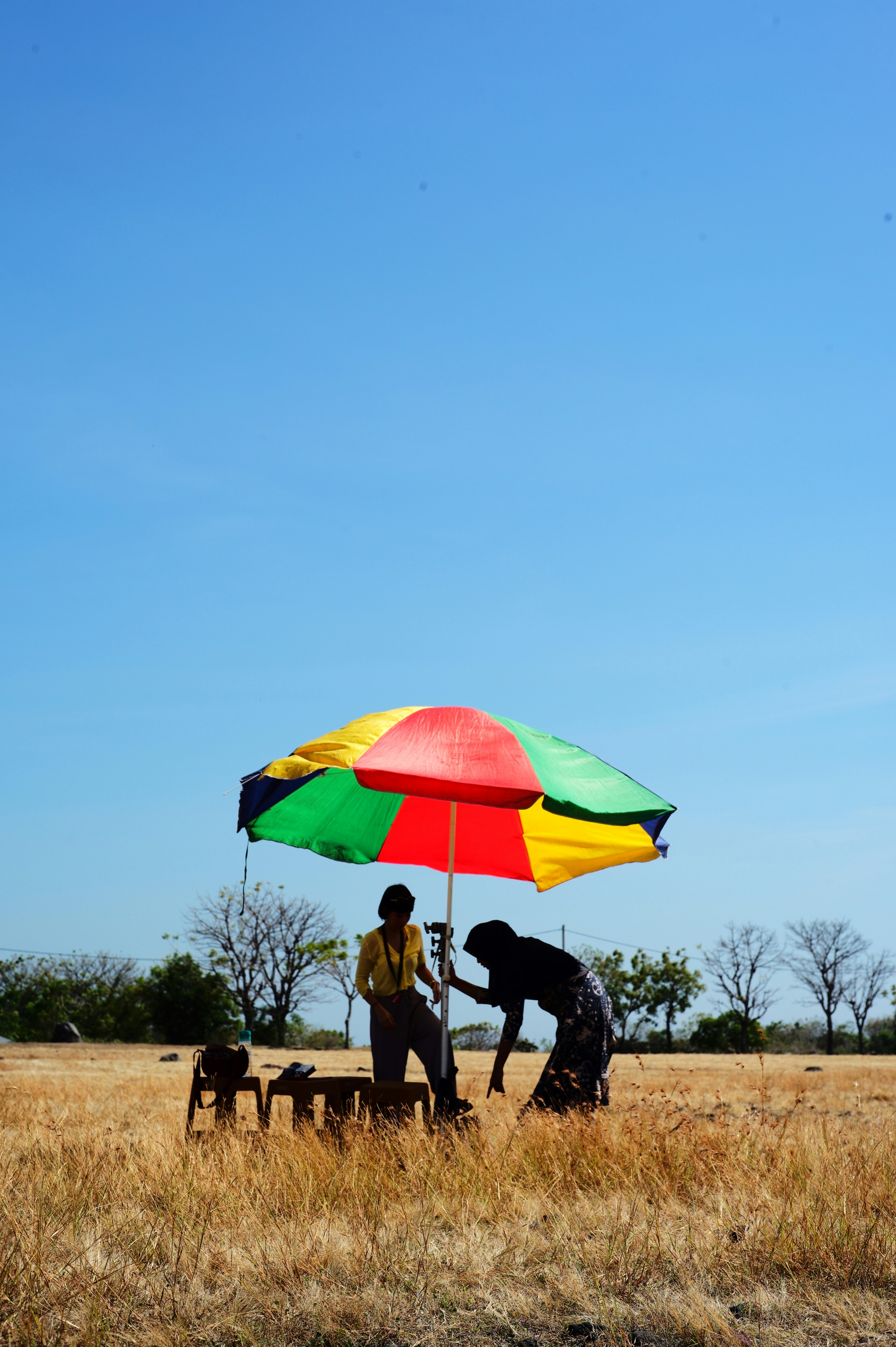 a person and a couple of dogs under a colorful umbrella