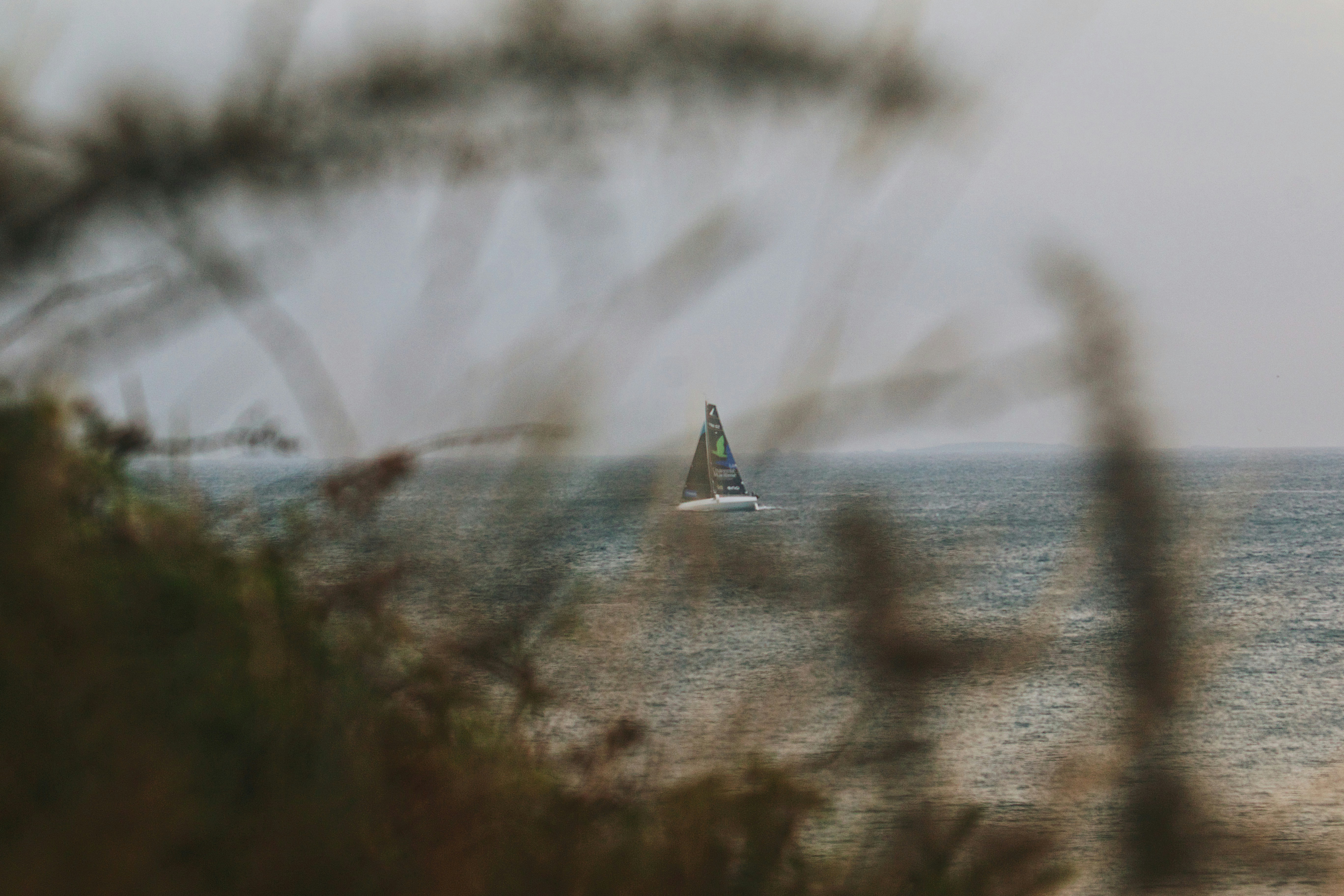 Sailboat Sighting Through Framing Foliage