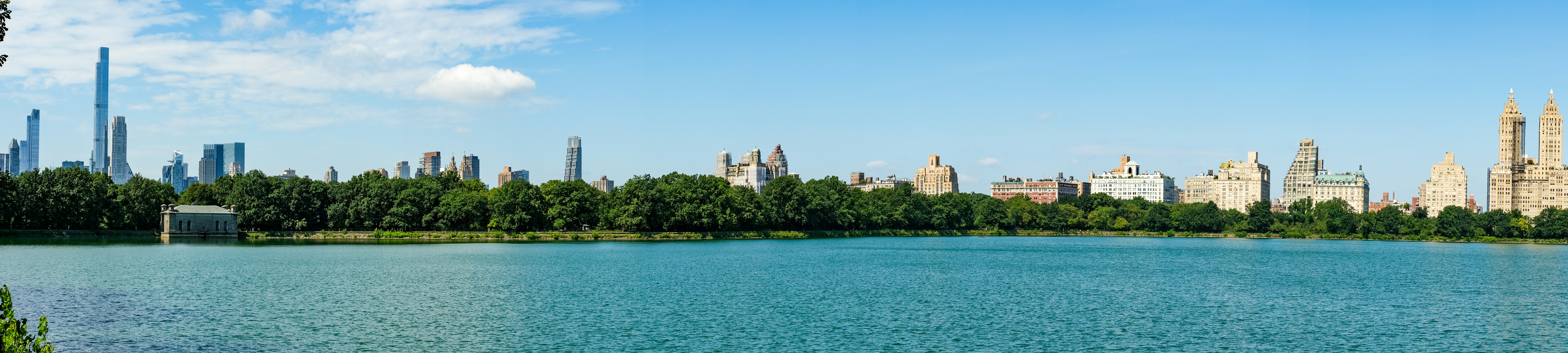 Riverfront Skyline: A Panoramic Horizon Framed by a Green Edge
