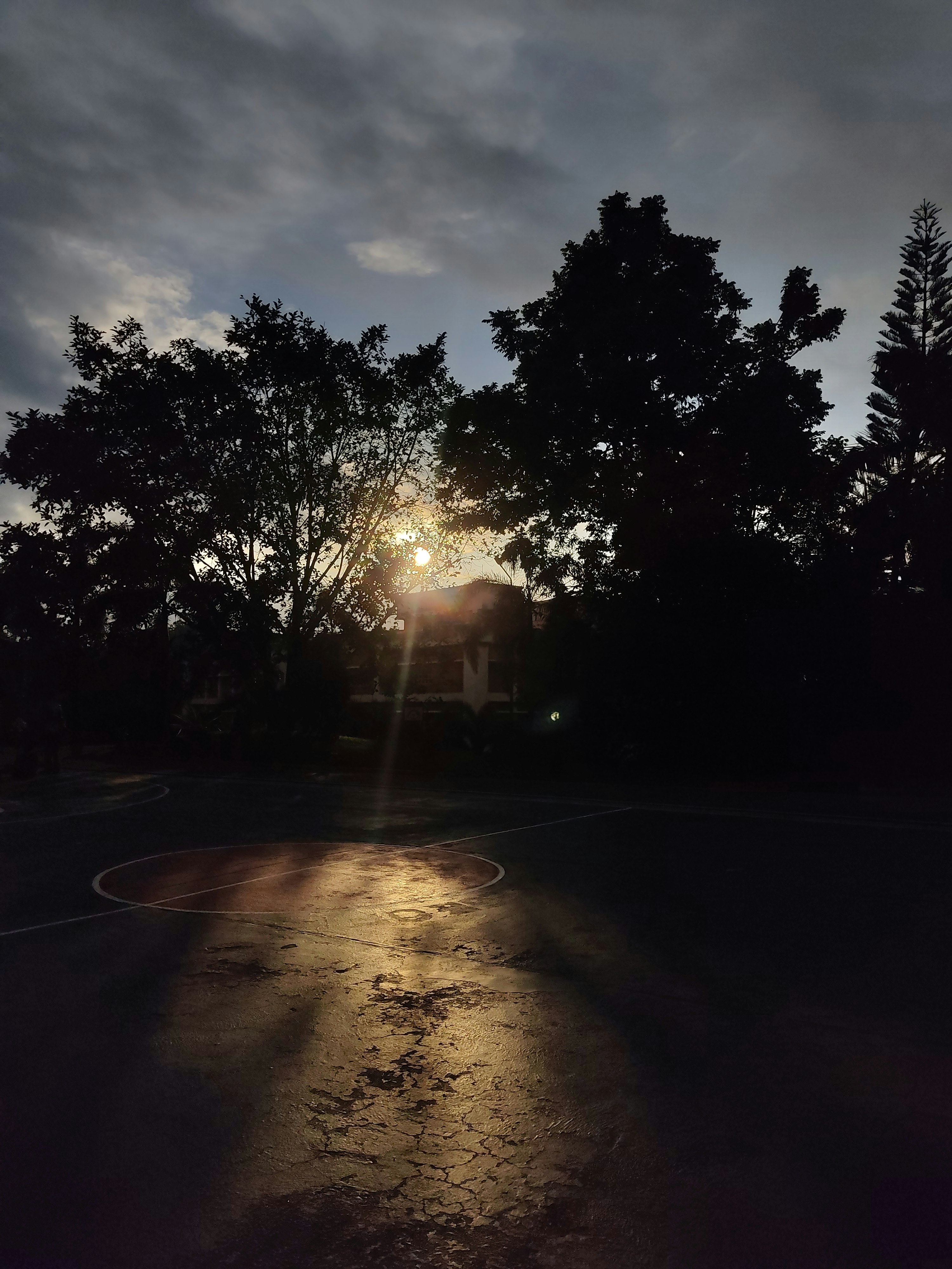 a road with trees on the side