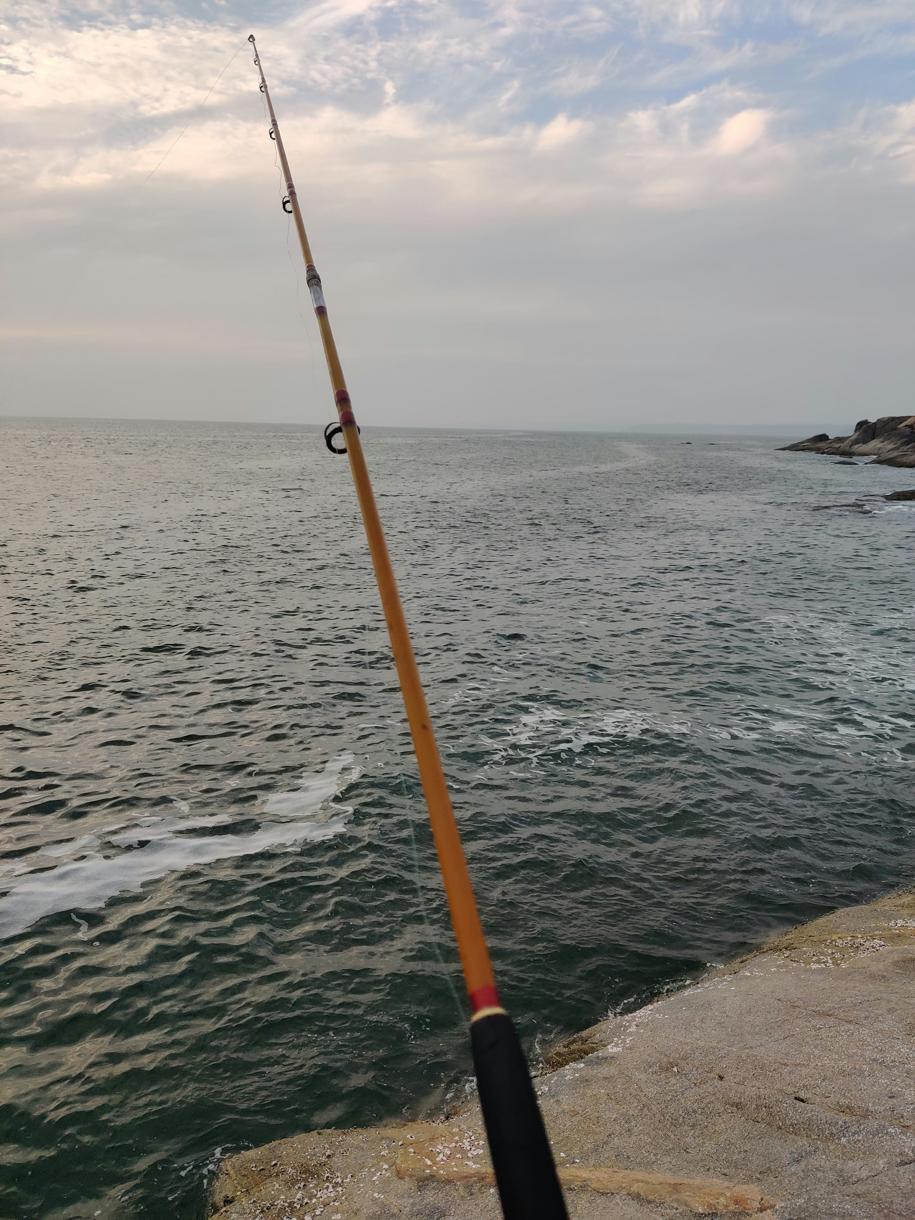 Fishing Pole Pictures | Download Free Images on Unsplash