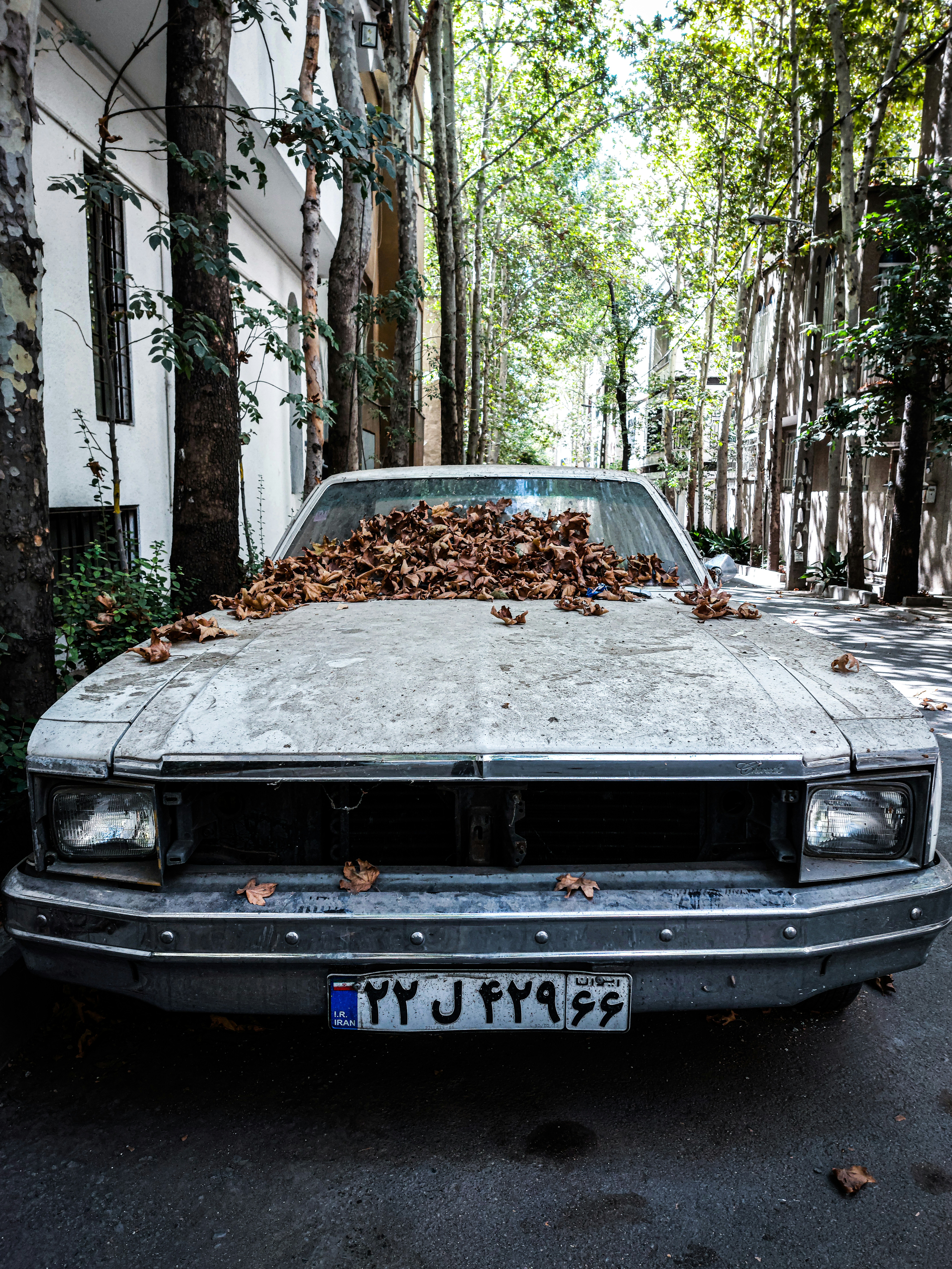 Autumn Mantle on a Weathered Sedan in a Narrow Tree-Lined Alley