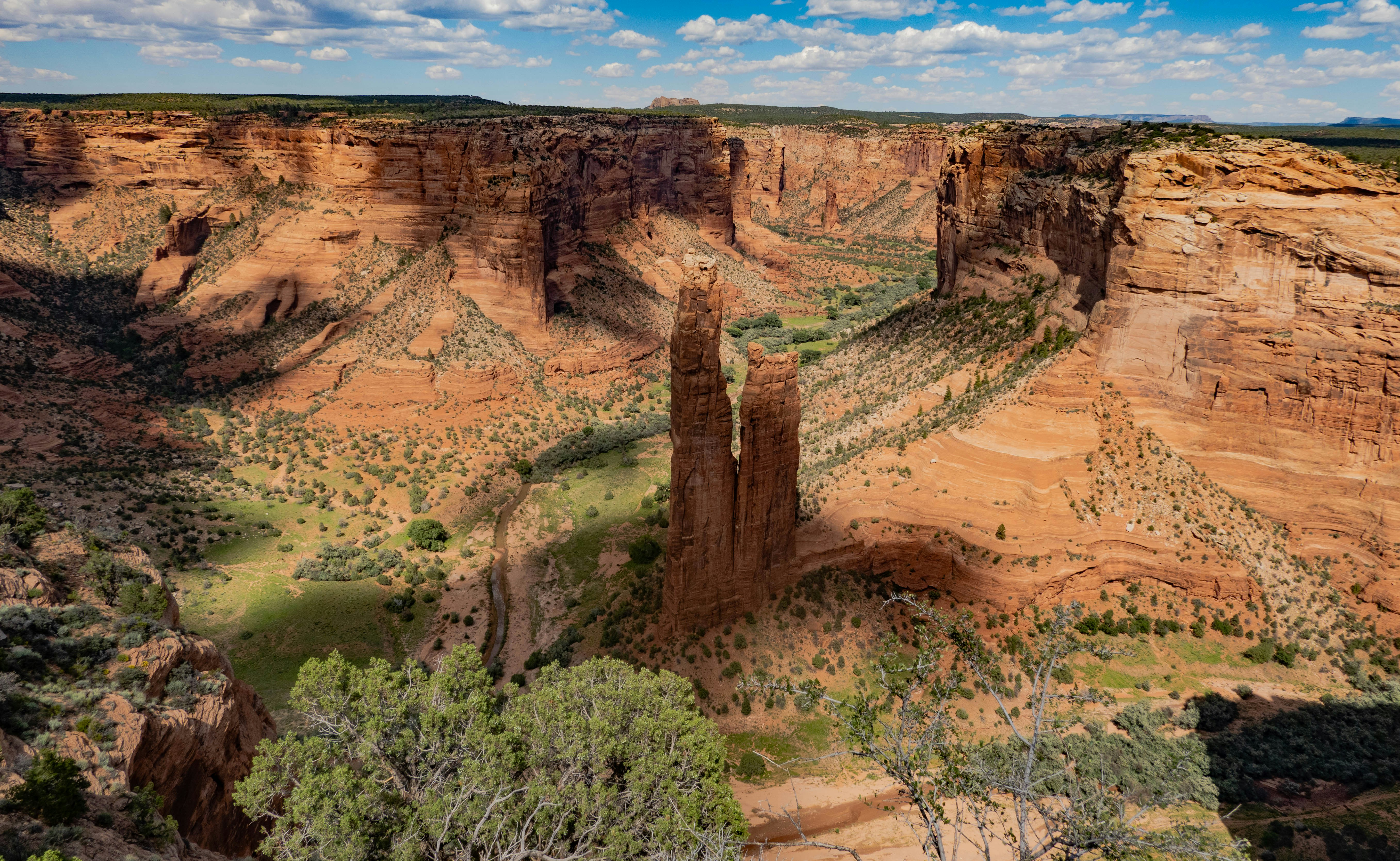 A canyon with a few trees with Canyon de Chelly National Monument in ...
