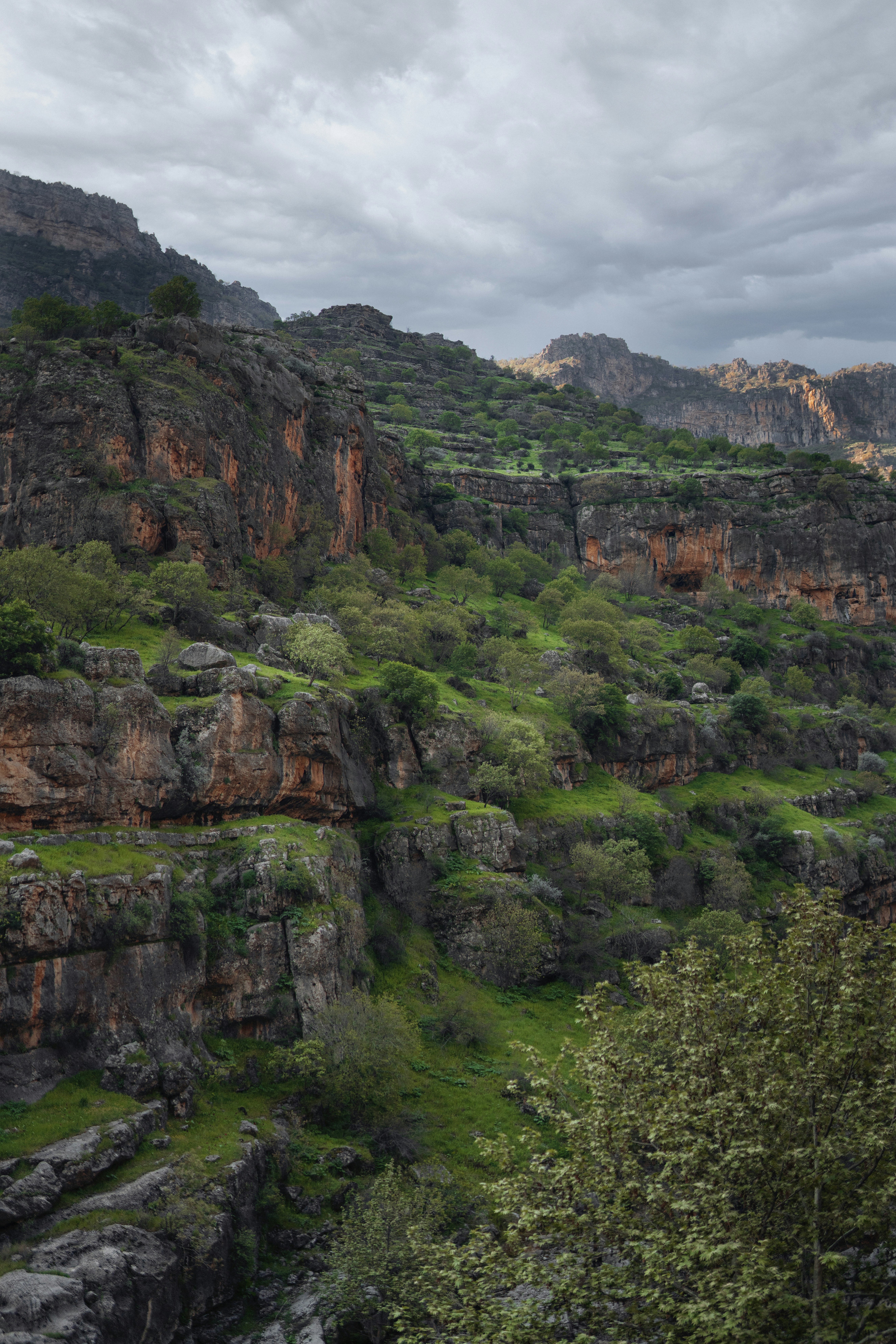 Sunlit ledges and emerald terraces carved into rugged cliffs