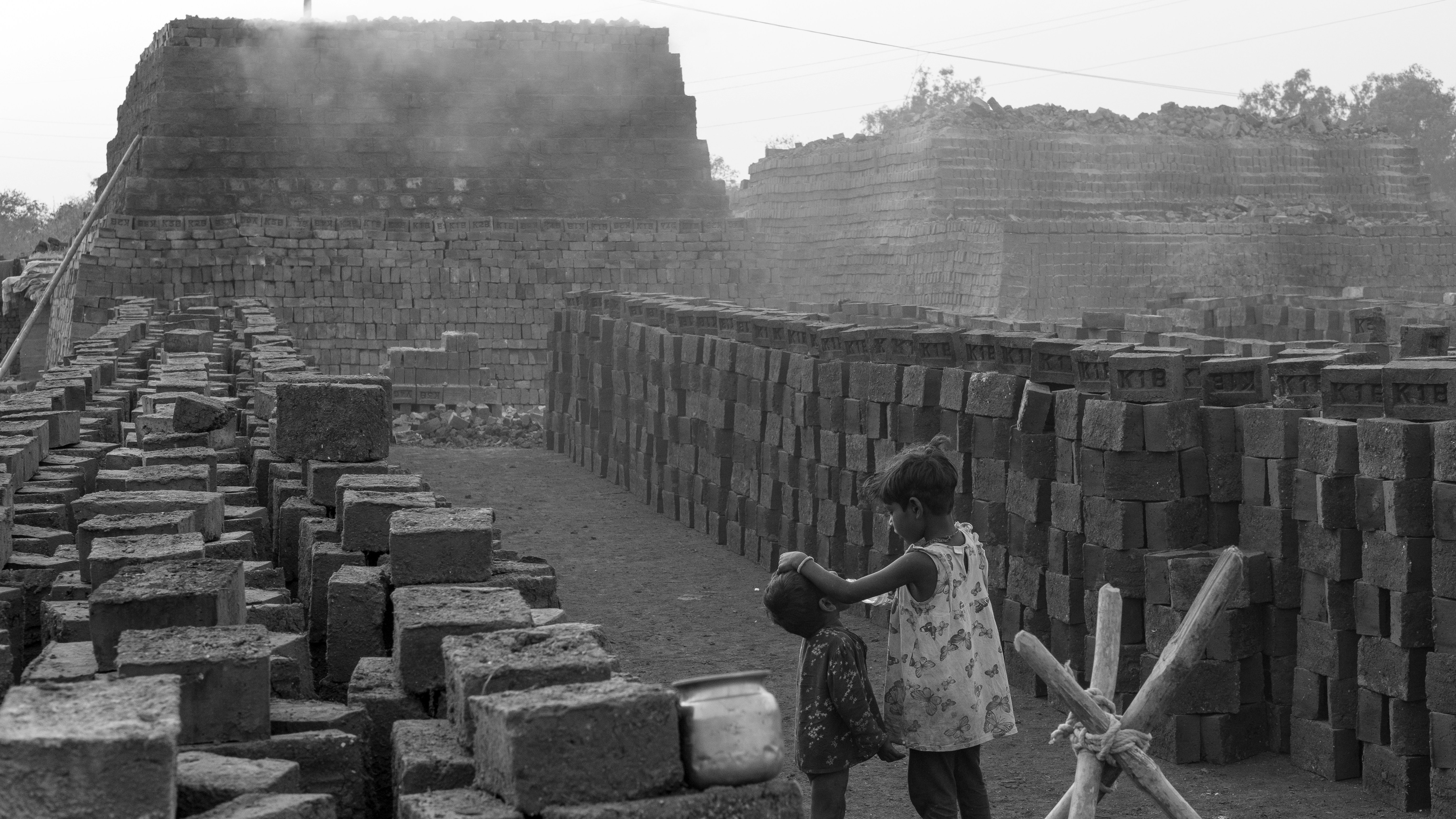 Rookery of Bricks and a Shared Moment