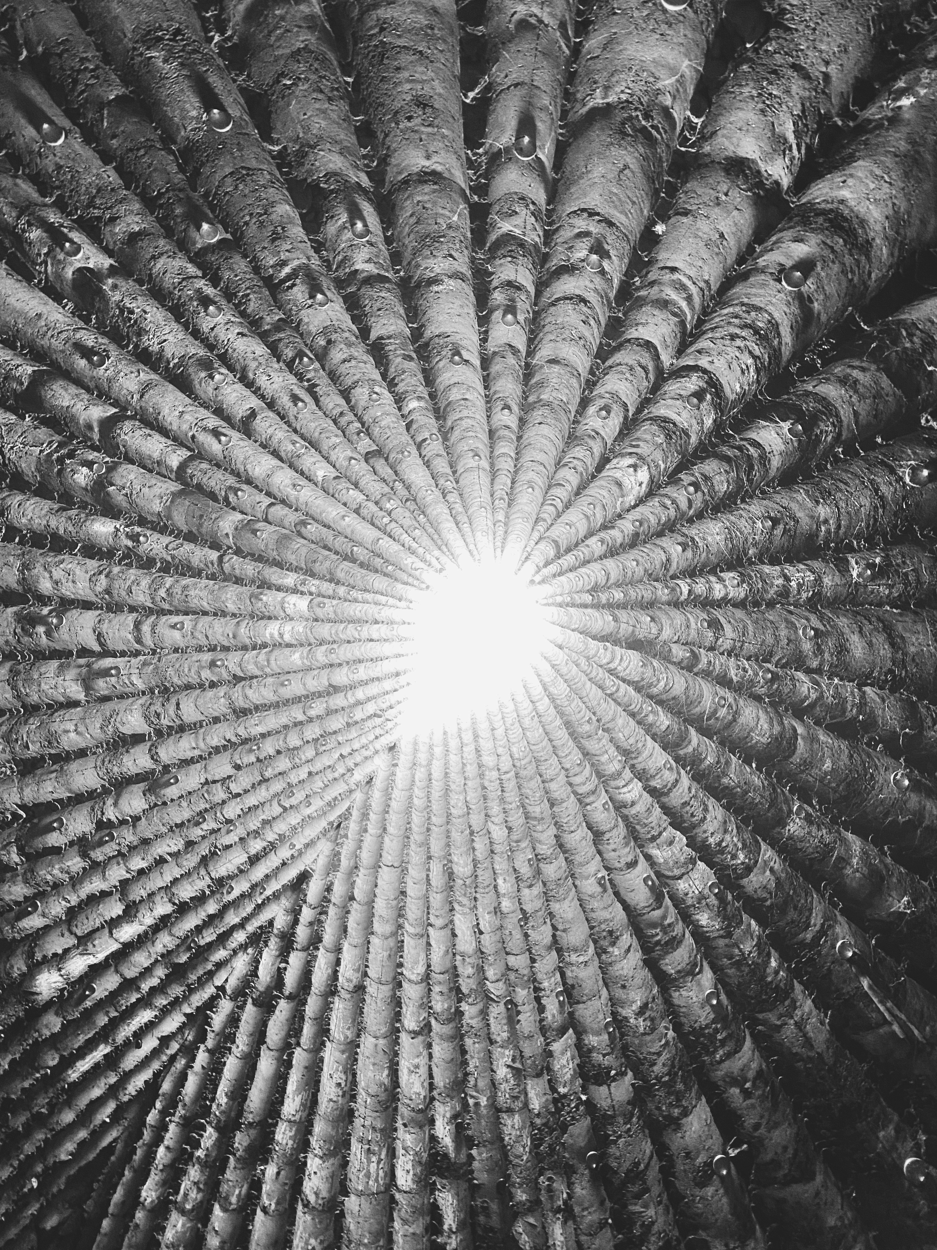 Inside the Brother-Klaus-Chapel. It is really a special building. Build with 120 tree trunks that were later burned. 