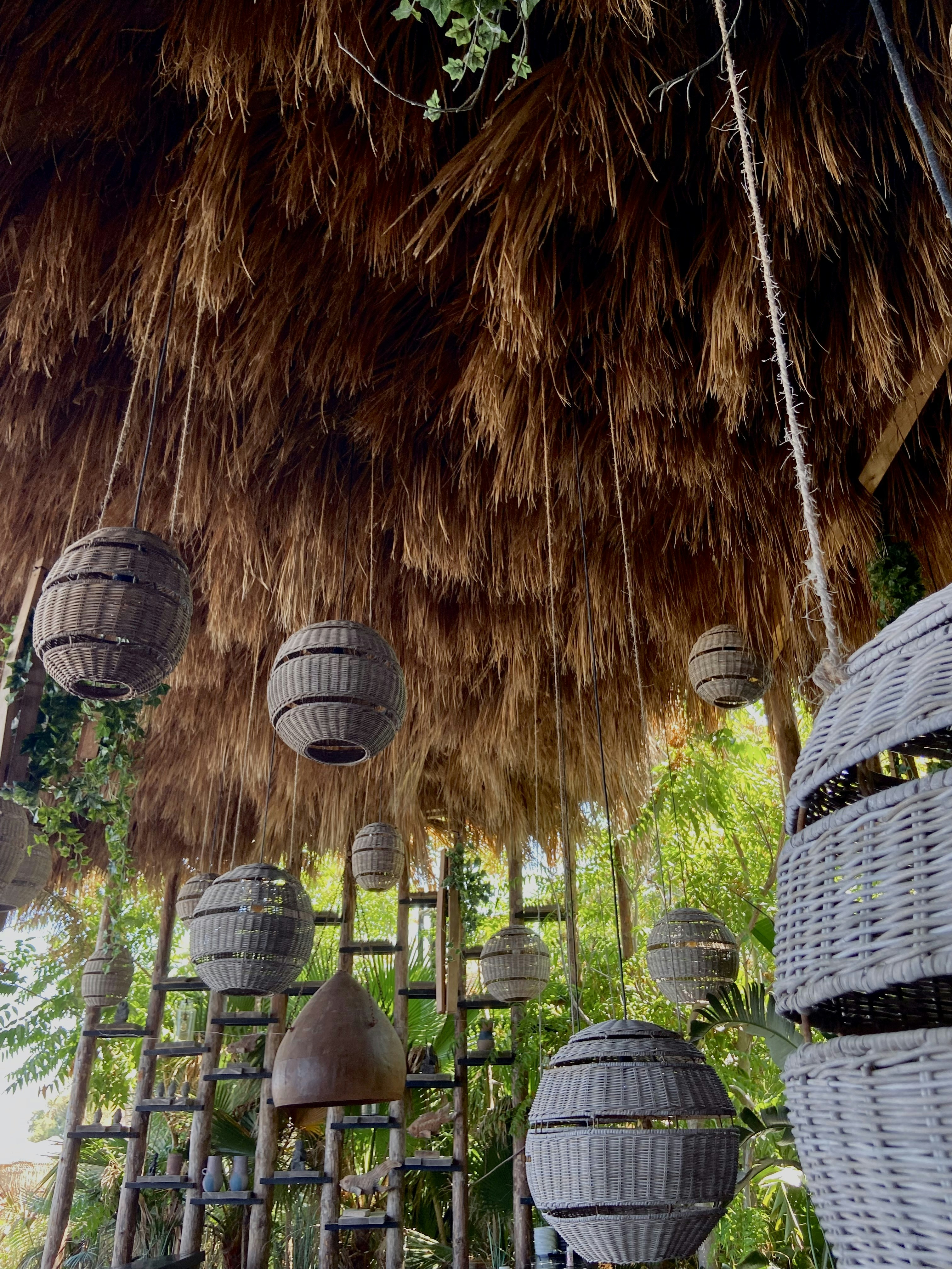 Photo by Iulia Evtodiev with Apple iPhone 11