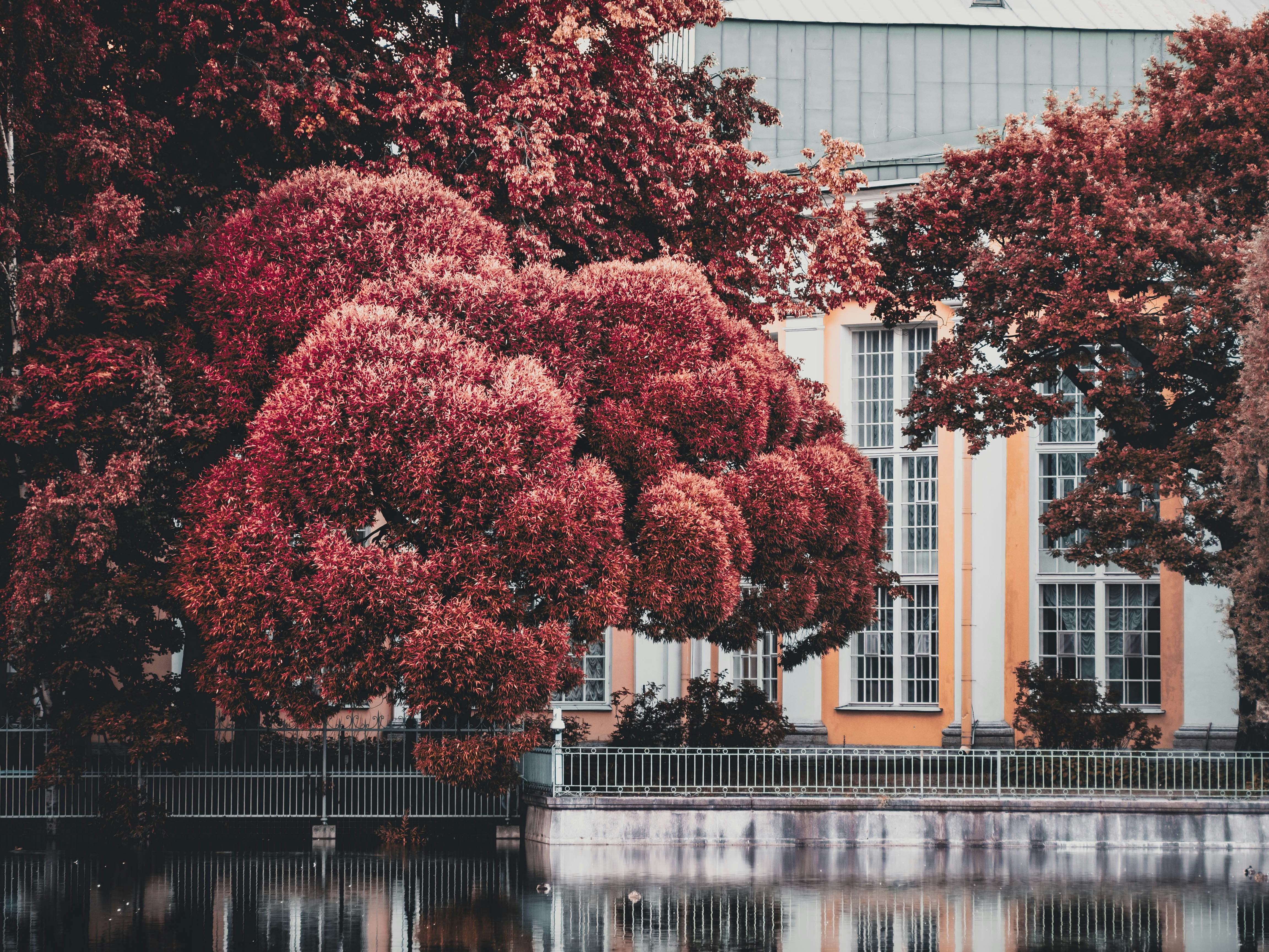 Crimson Trees by the Riverside Facade