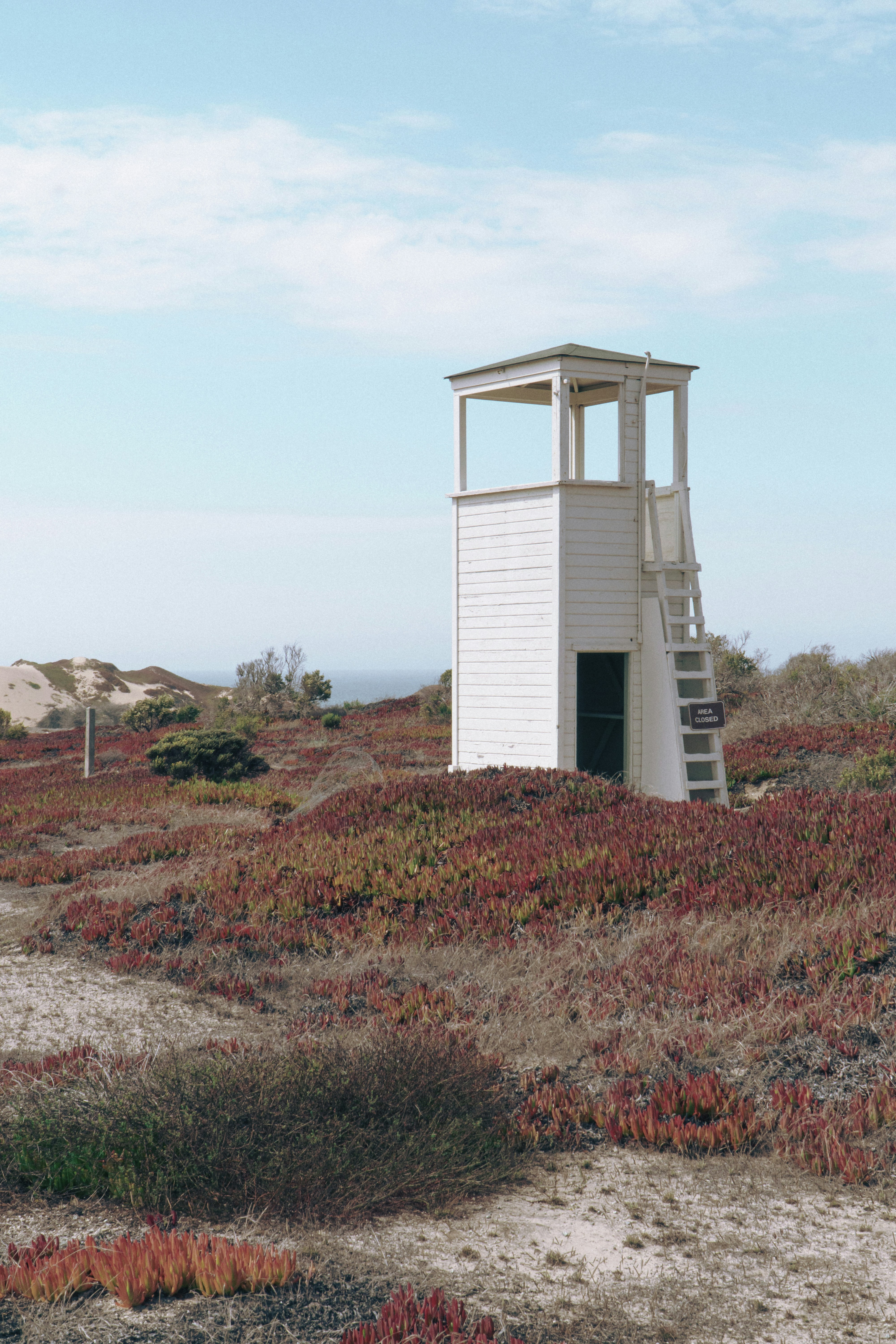 A small building in a field photo – Free Architecture Image on Unsplash