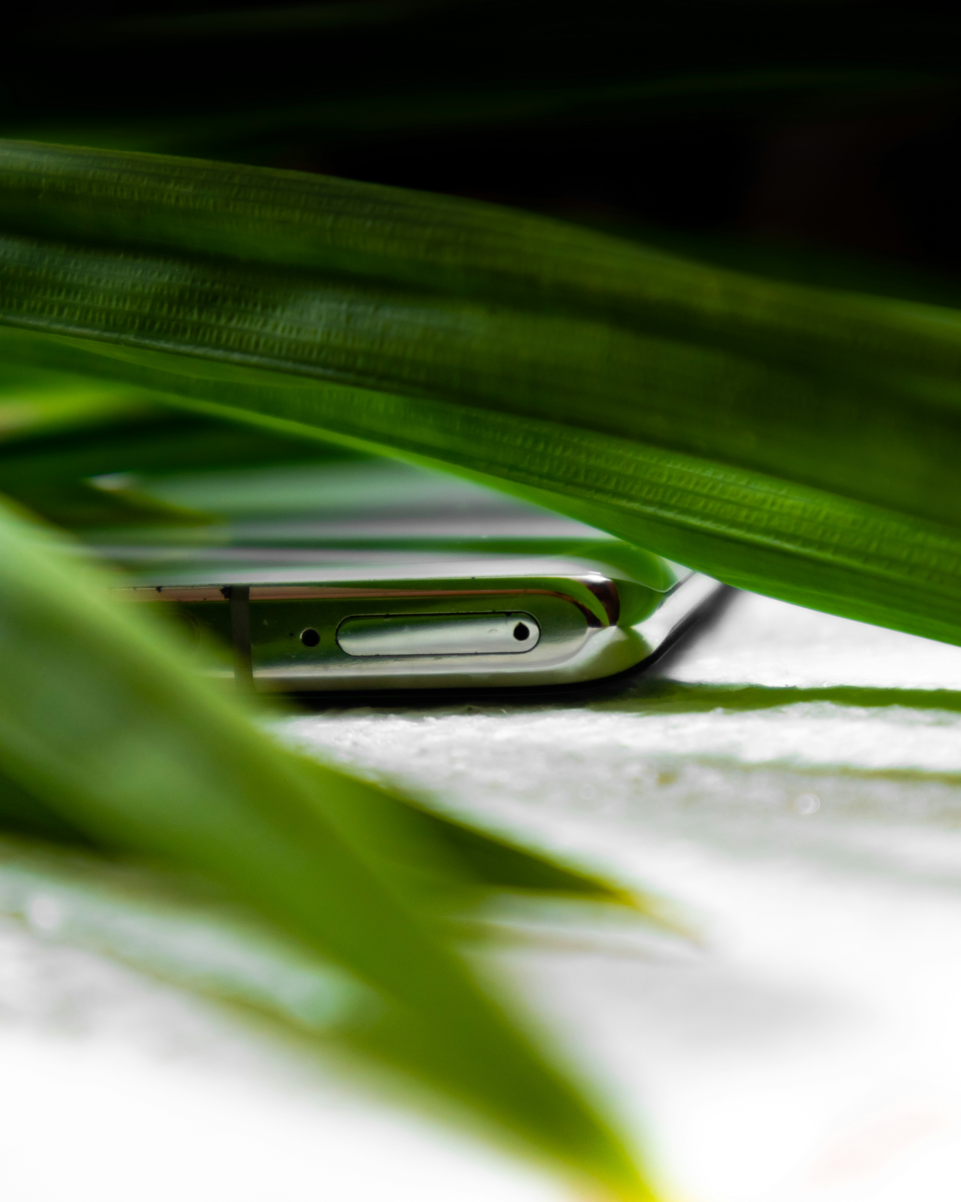 Hidden Edge: A Smartphone Port Peeks Through Leaf Veins