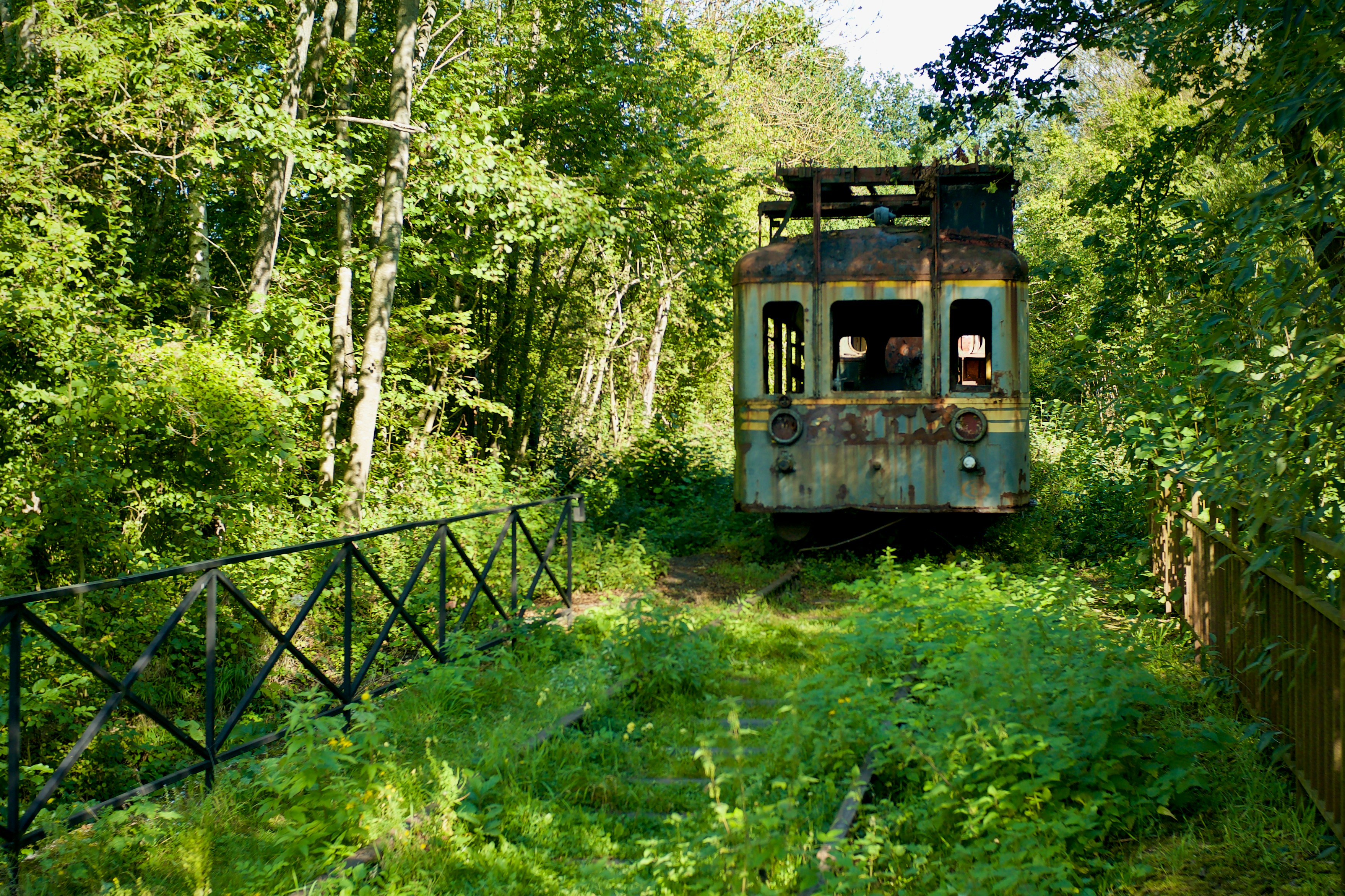 Rusty vintage tram nestled among lush greenery, hinting at a forgotten era of transport. A black railing lines the overgrown tracks leading to the tram.
