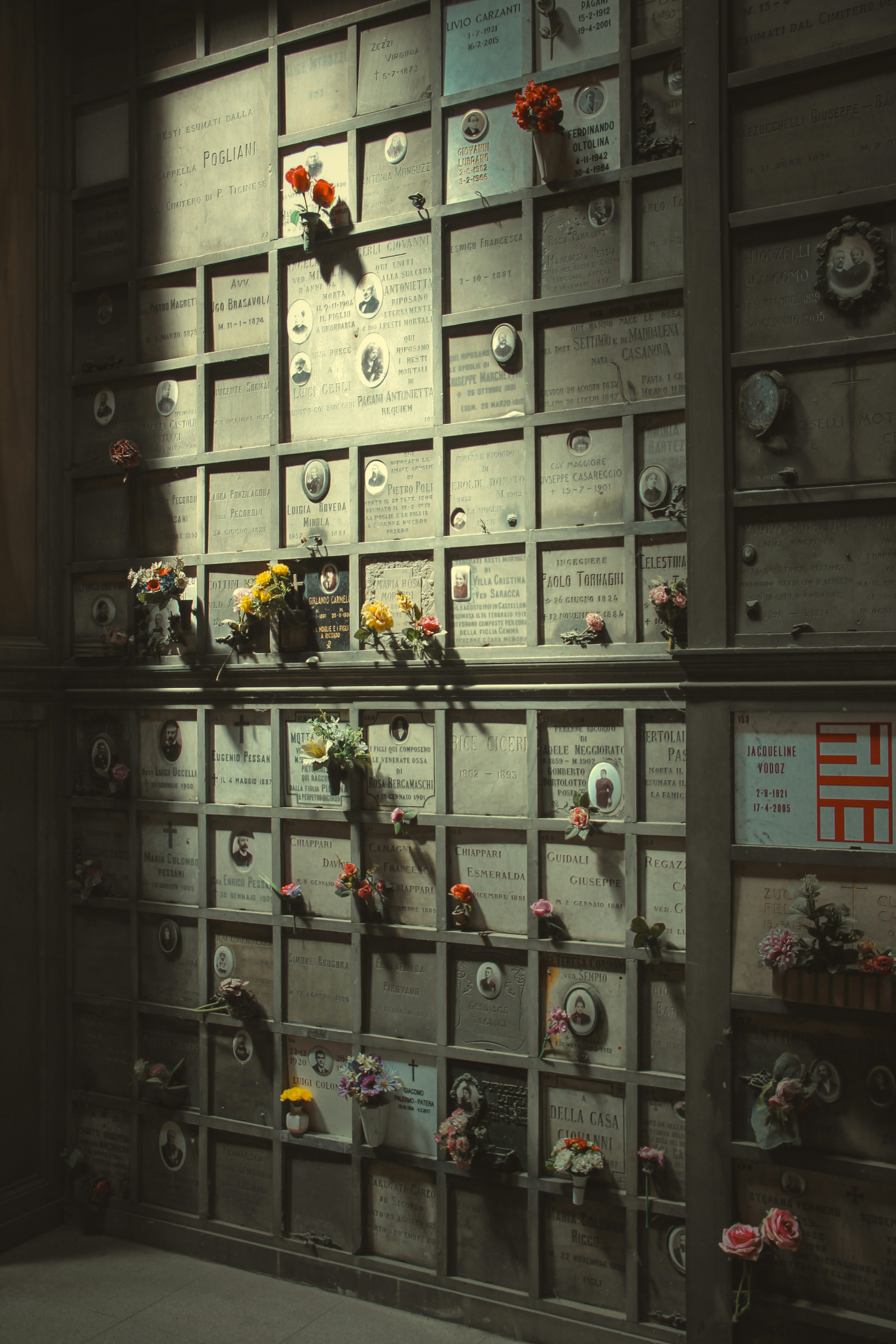 Photo by Med Amine CB with Canon EOS 550D