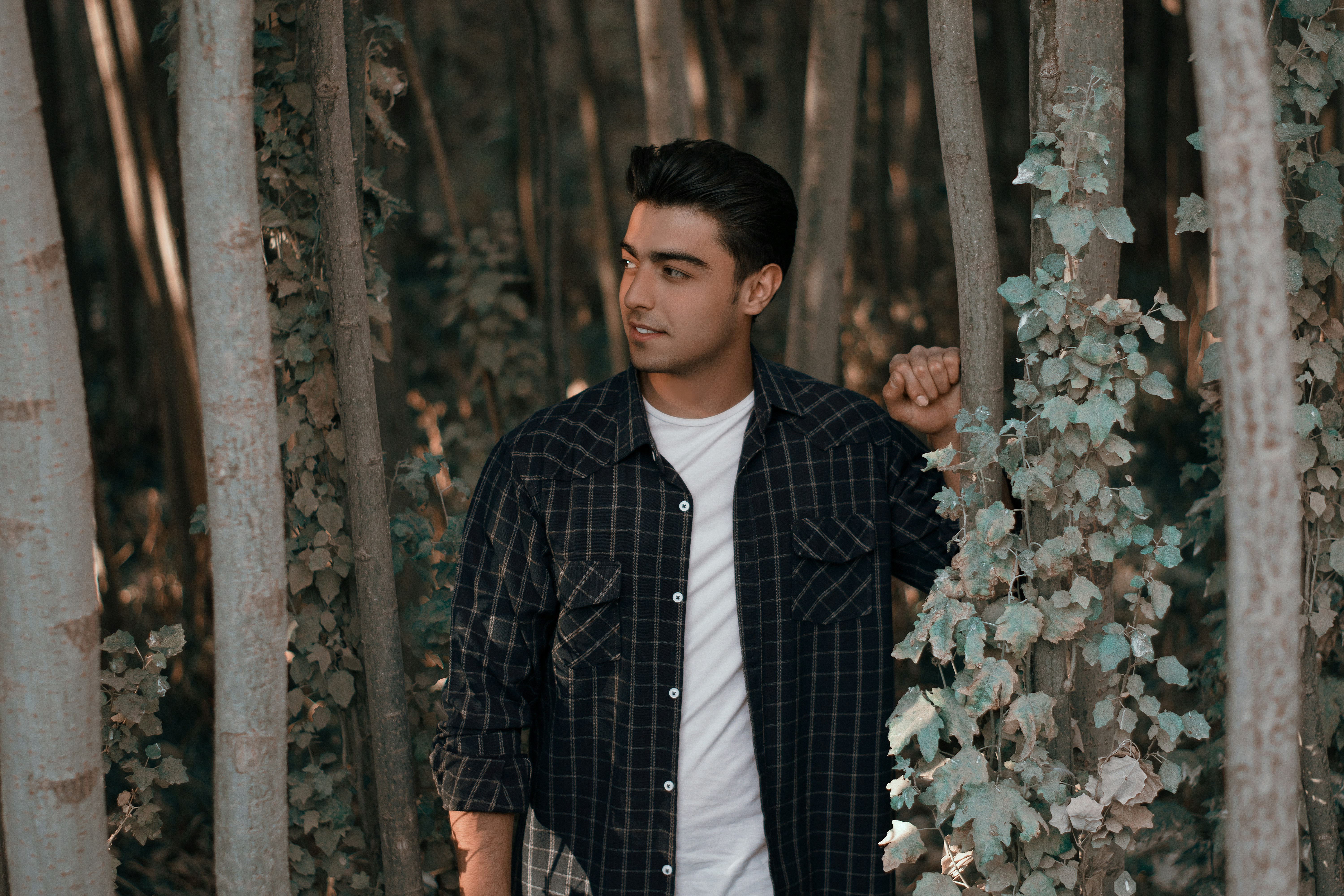 A man standing between trees photo – Free Portrait Image on Unsplash