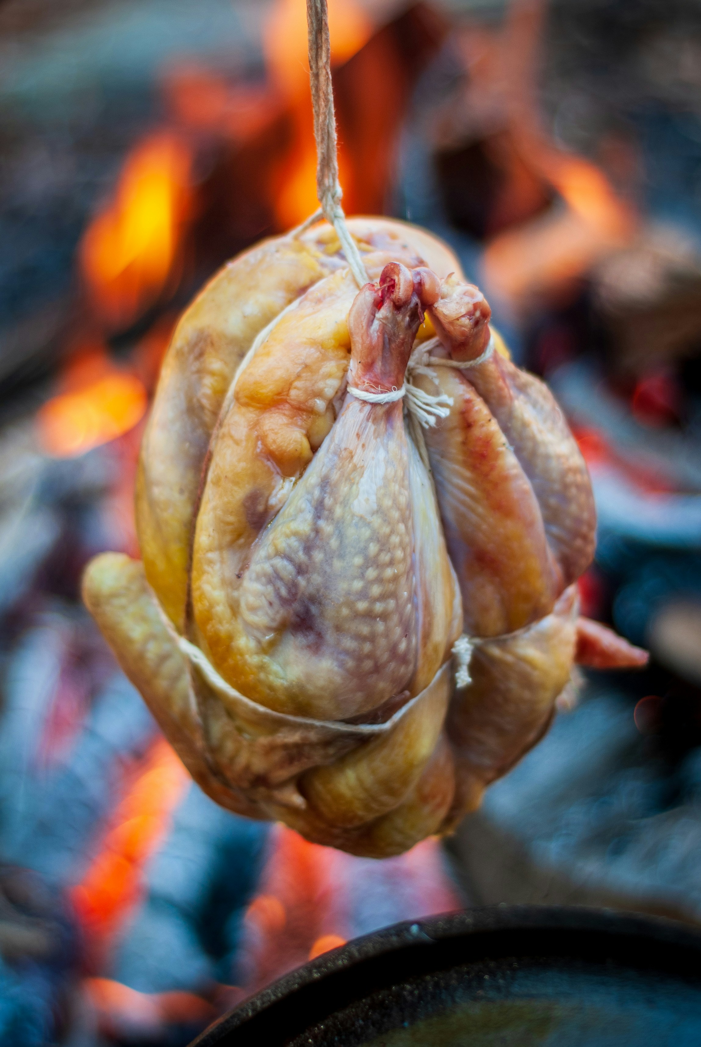 Ember-Glow Spit Roast: A Chicken Suspended Over Fire