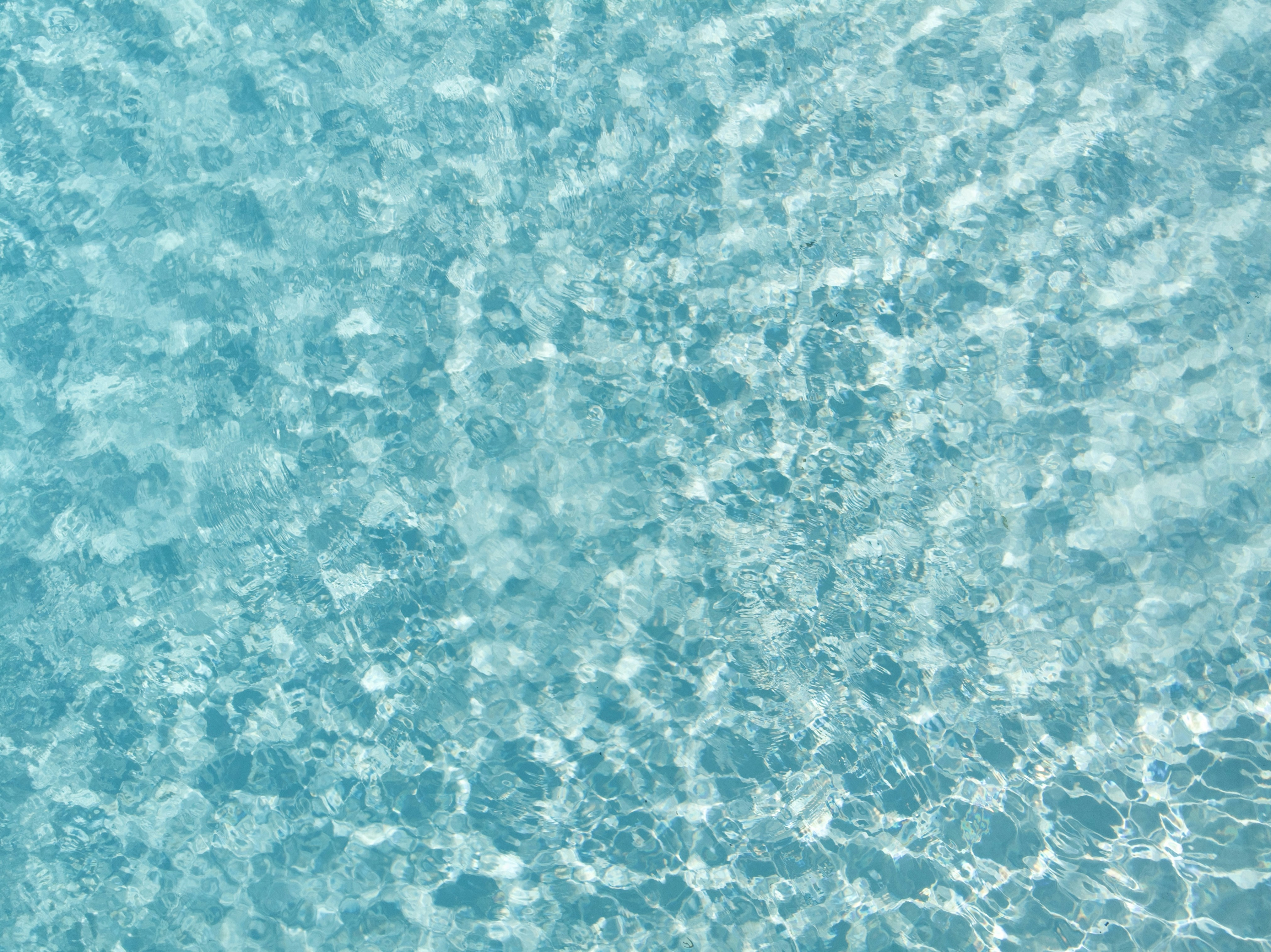 500+ Pool Water Pictures [HD] | Download Free Images on Unsplash