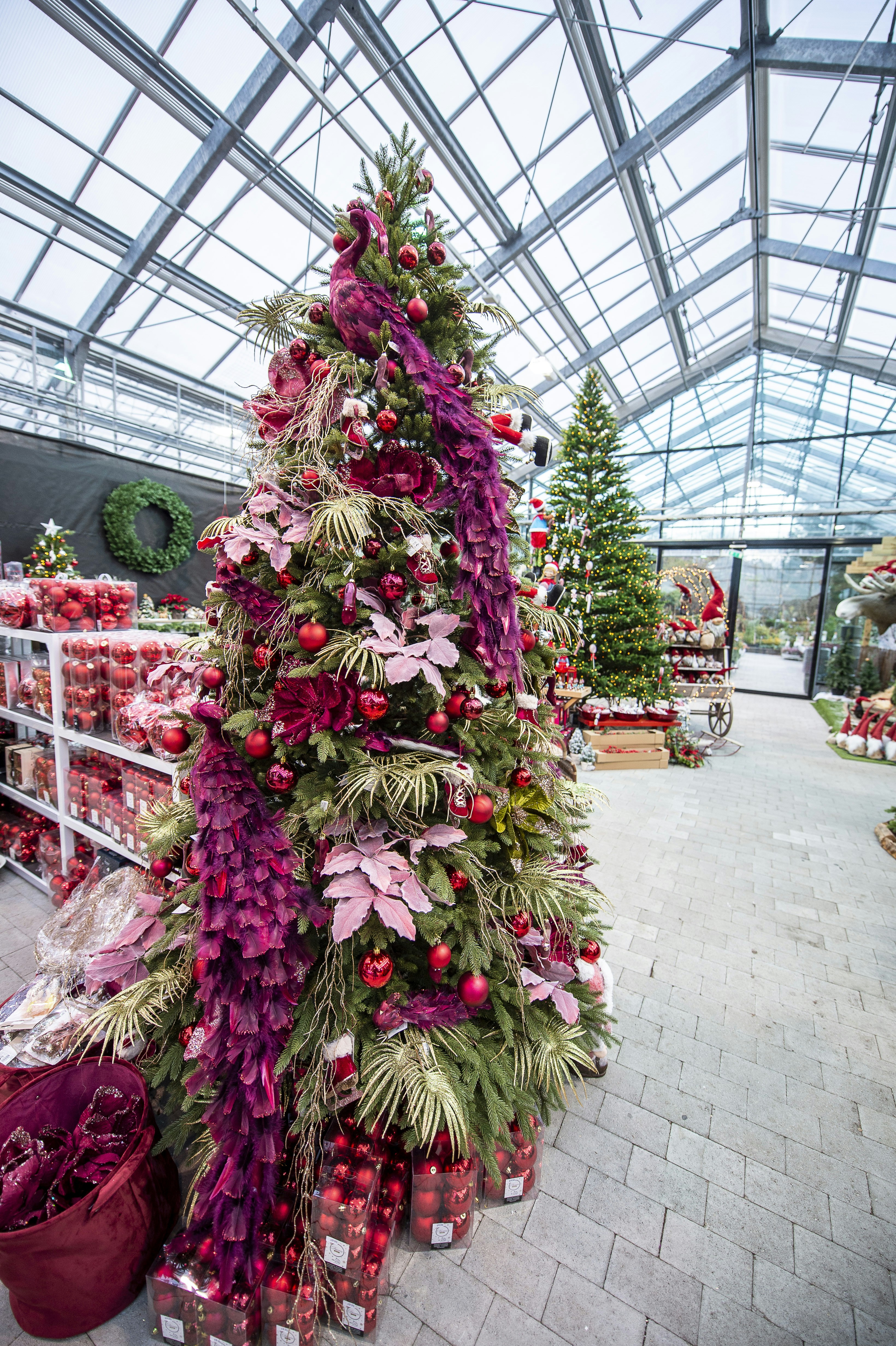 Magenta Cascade: A Florally Decorated Christmas Tree in a Glass Conservatory
