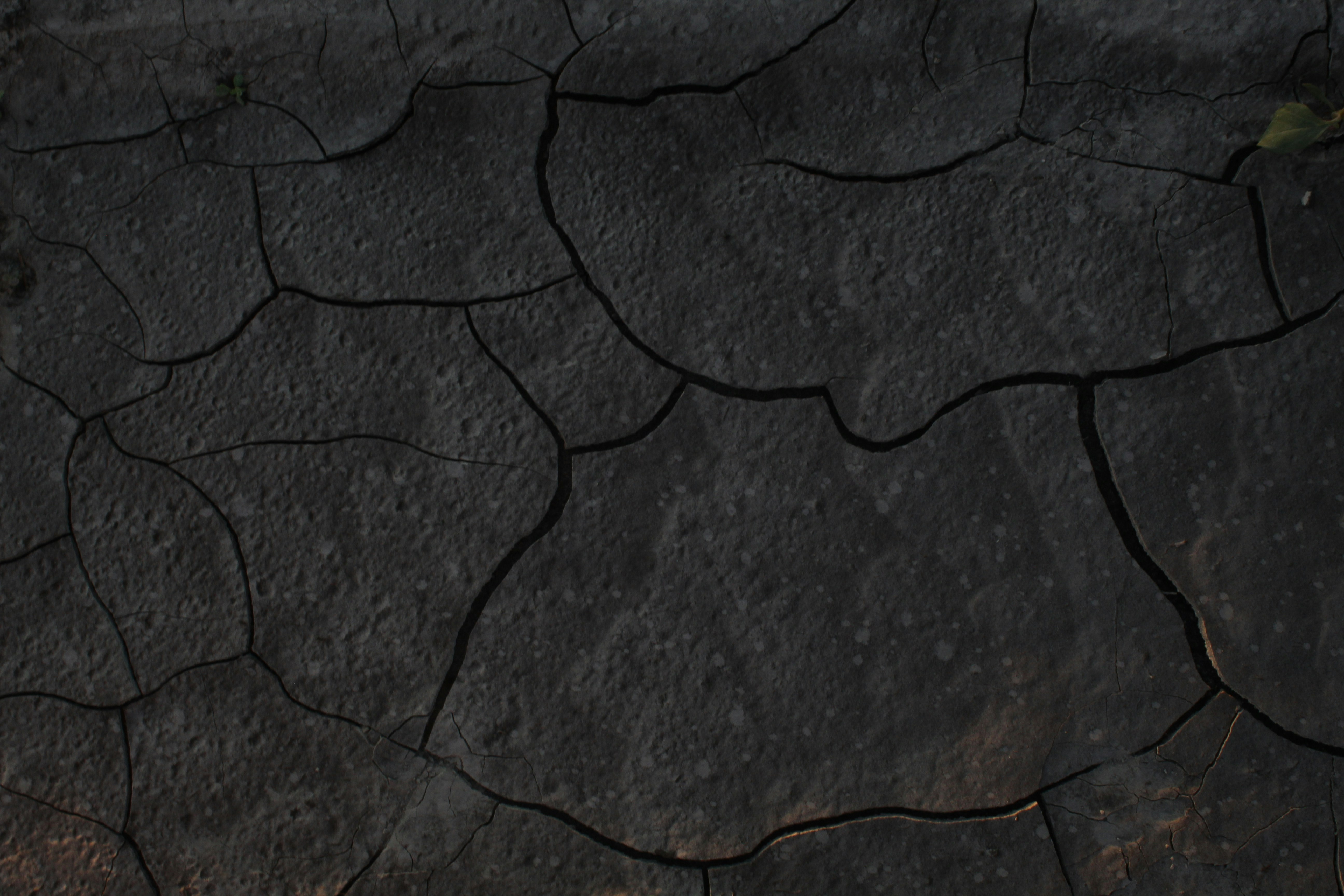 Parched Parallels: The Quiet Network of Cracks