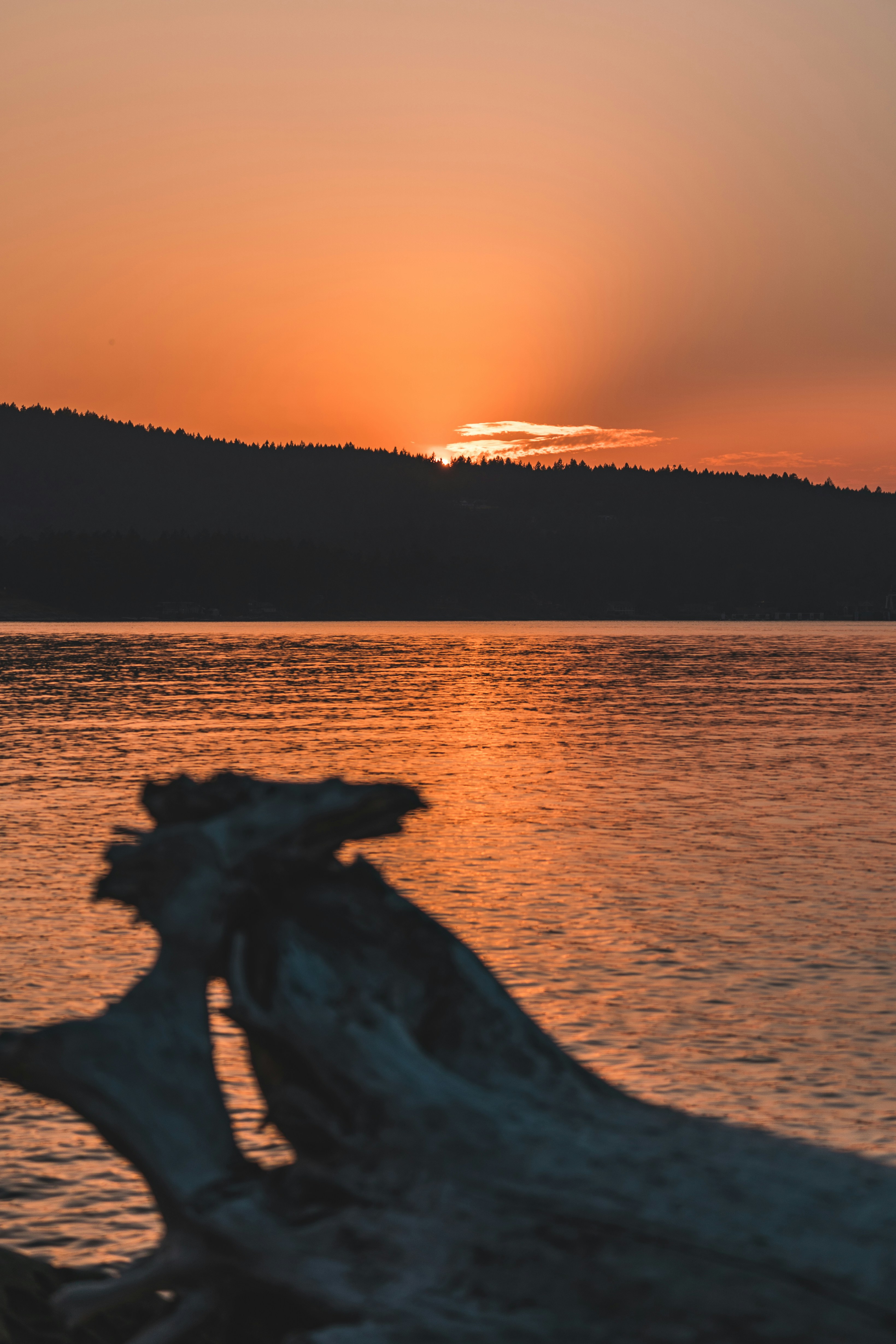Ember Horizon: Driftwood Silhouette at Sunset Over a Glassy Lake
