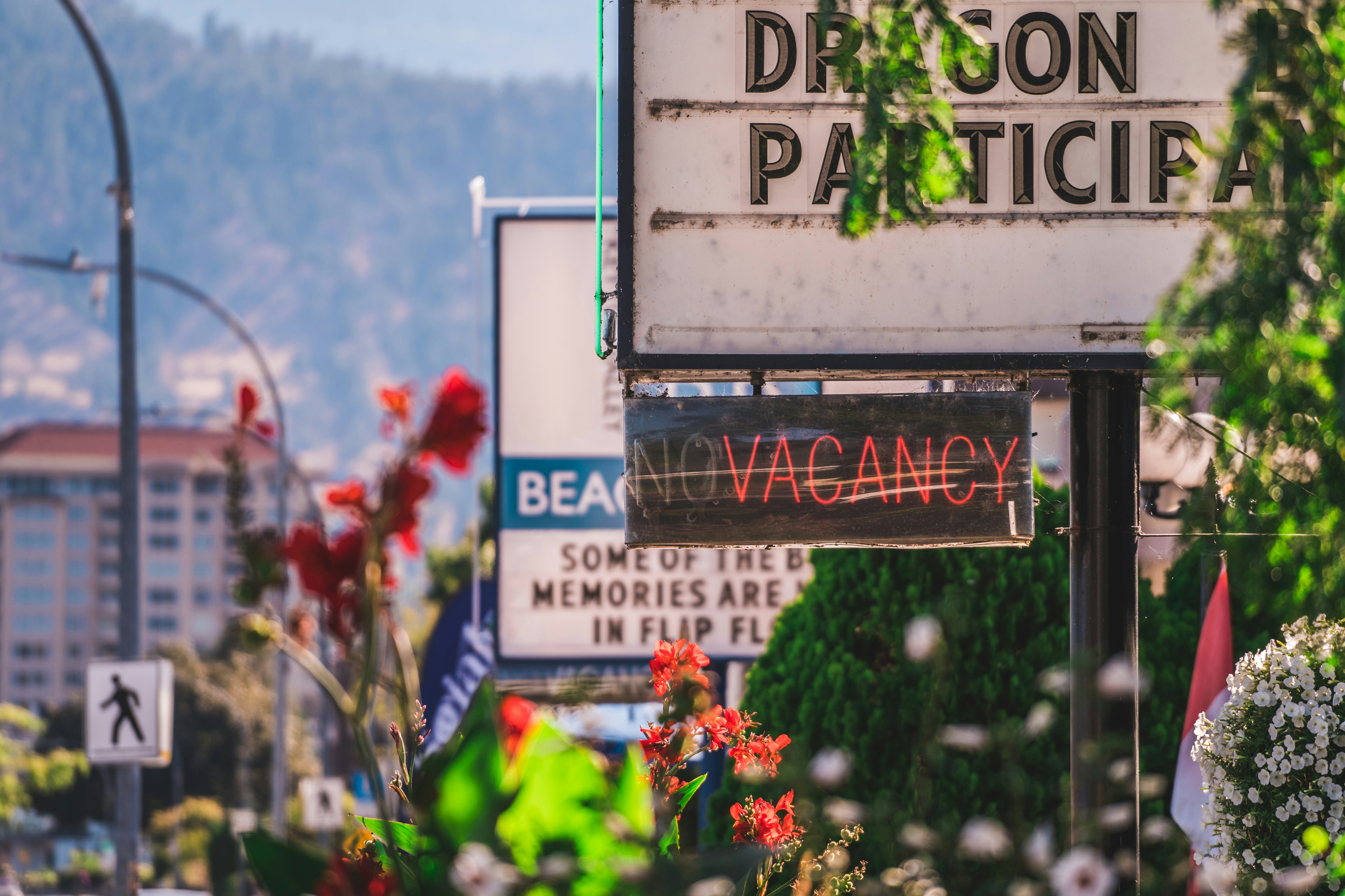 Colorful motel signs line a street with red flowers in the foreground and mountains in the distance.