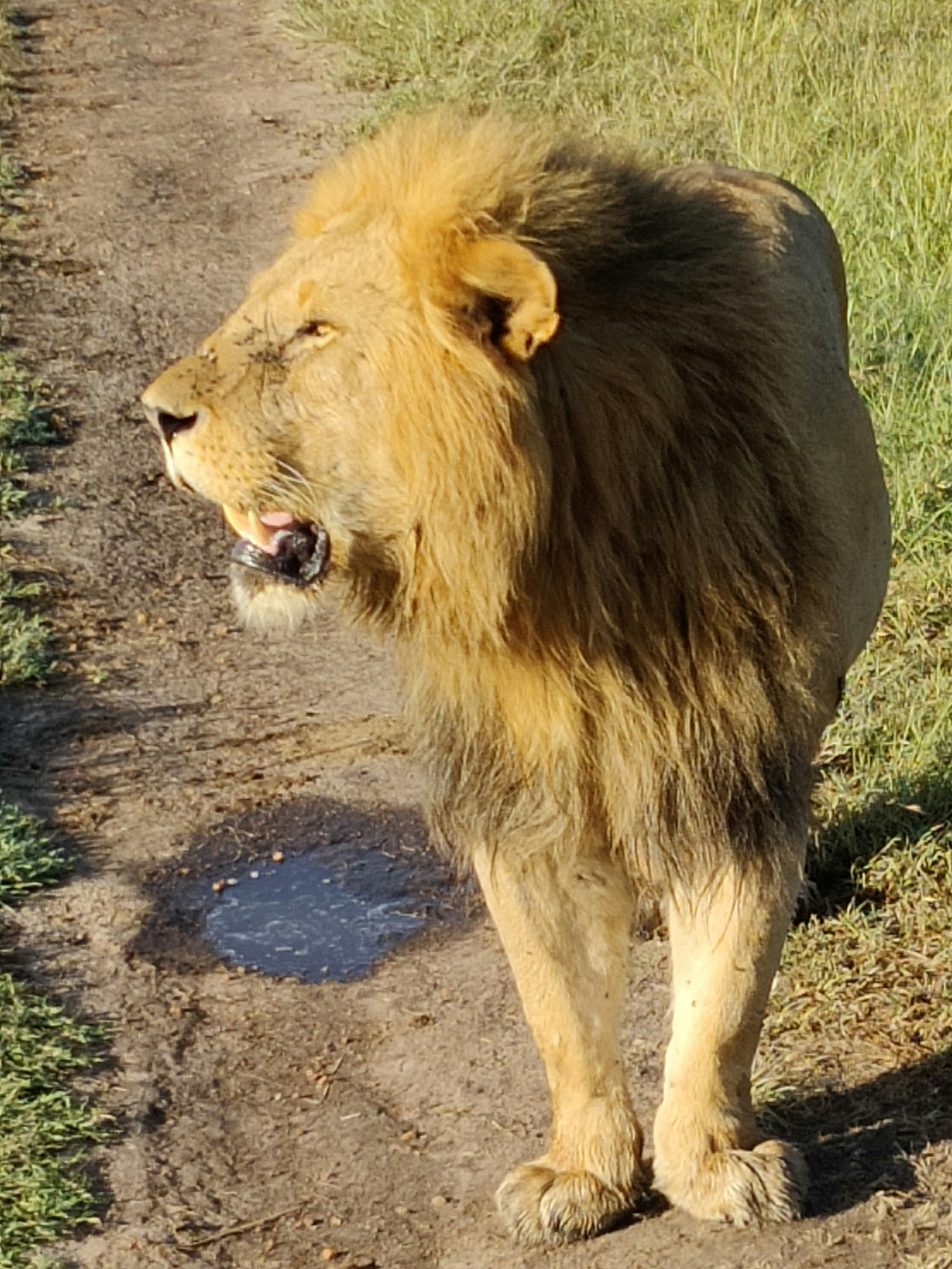 Photo by Bhavesh Patel with OnePlus Nord