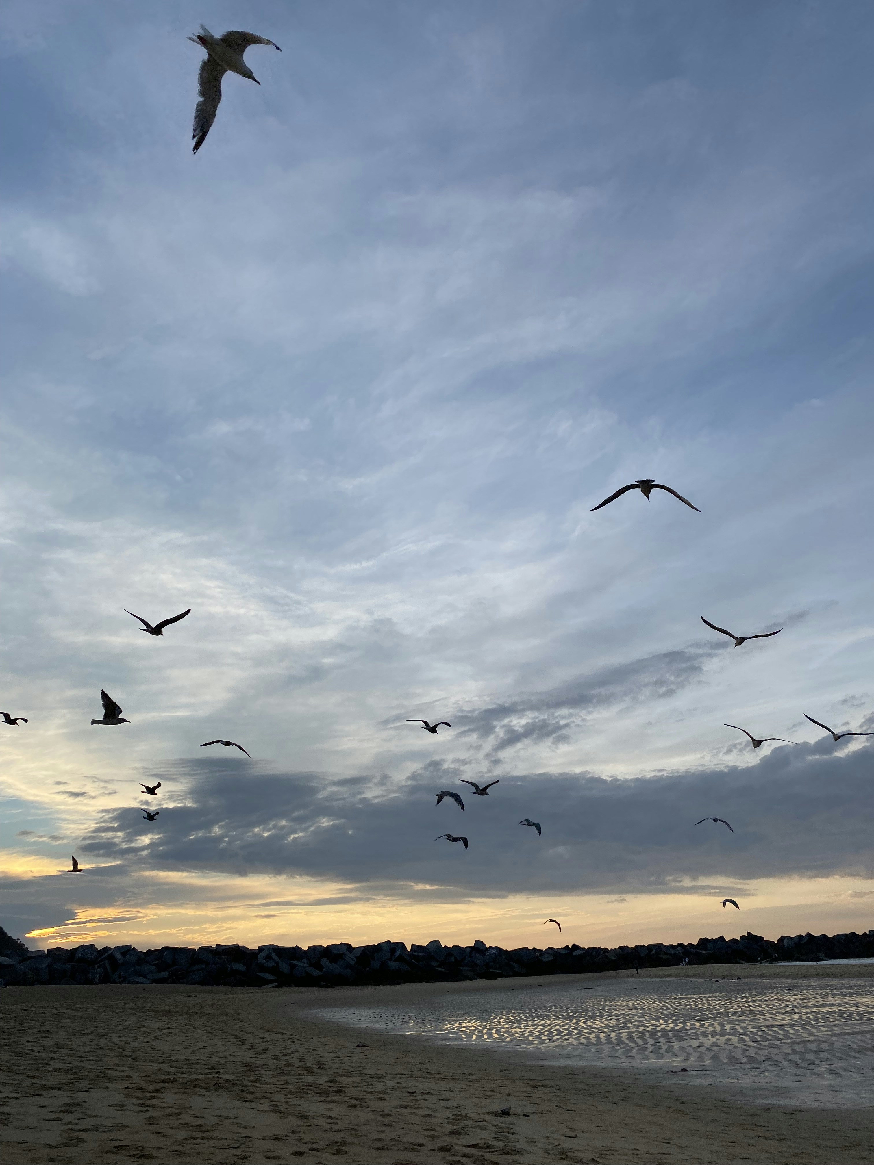 Curious About All About All (@curiousaboutall) | Unsplash 사진 커뮤니티
