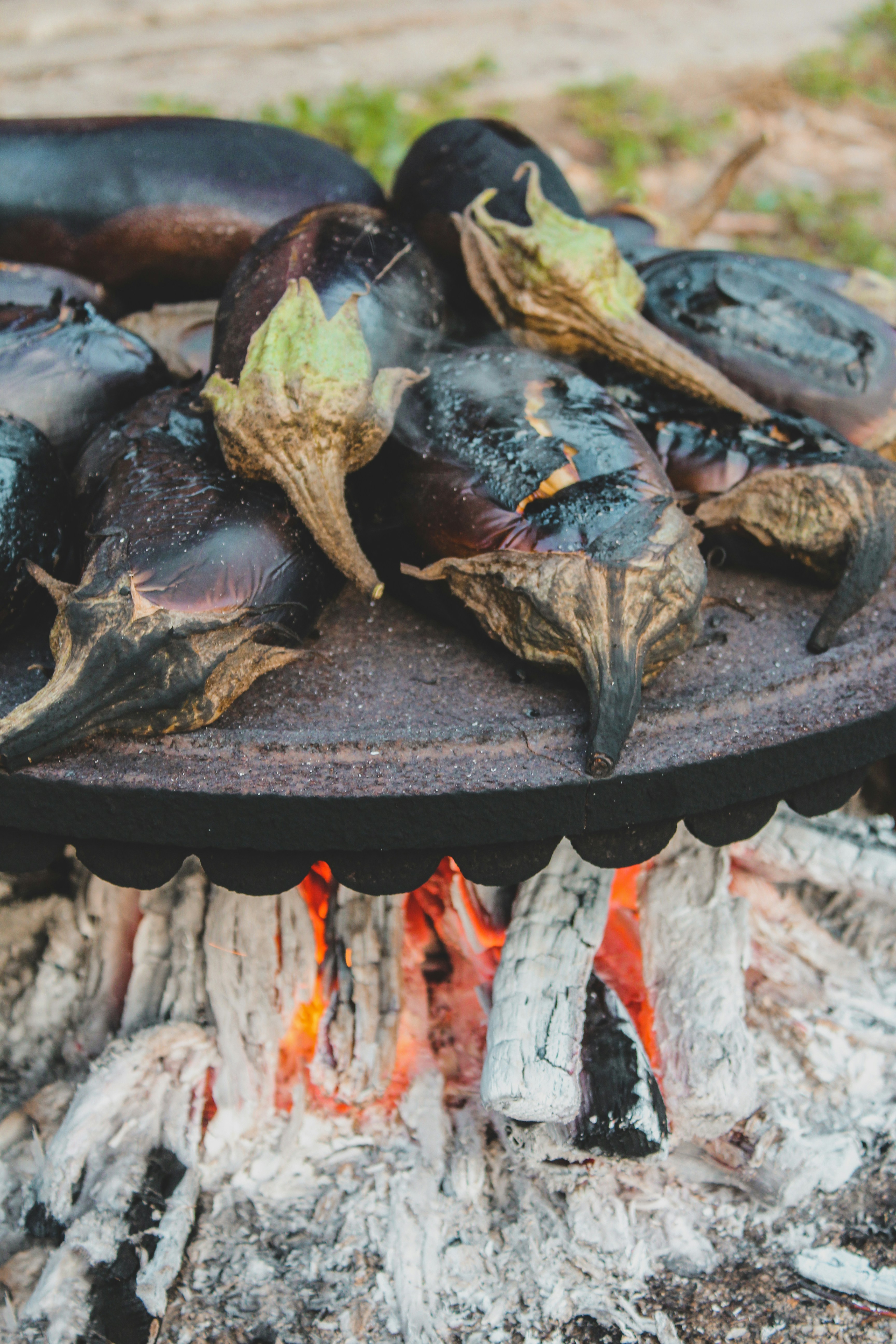 Aubergines on Ember: Charred Round-Grill Portrait