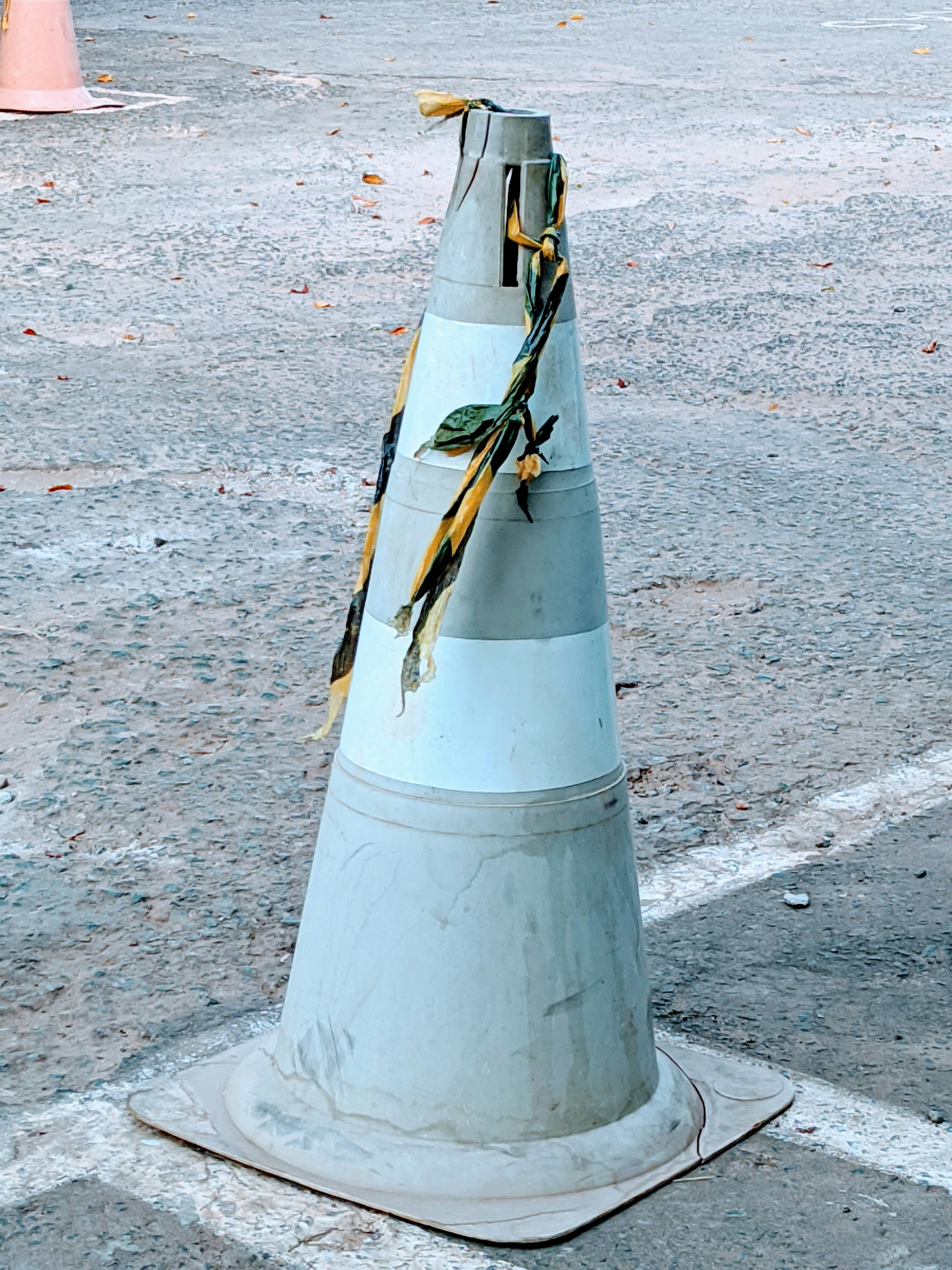 a bird on a metal pole