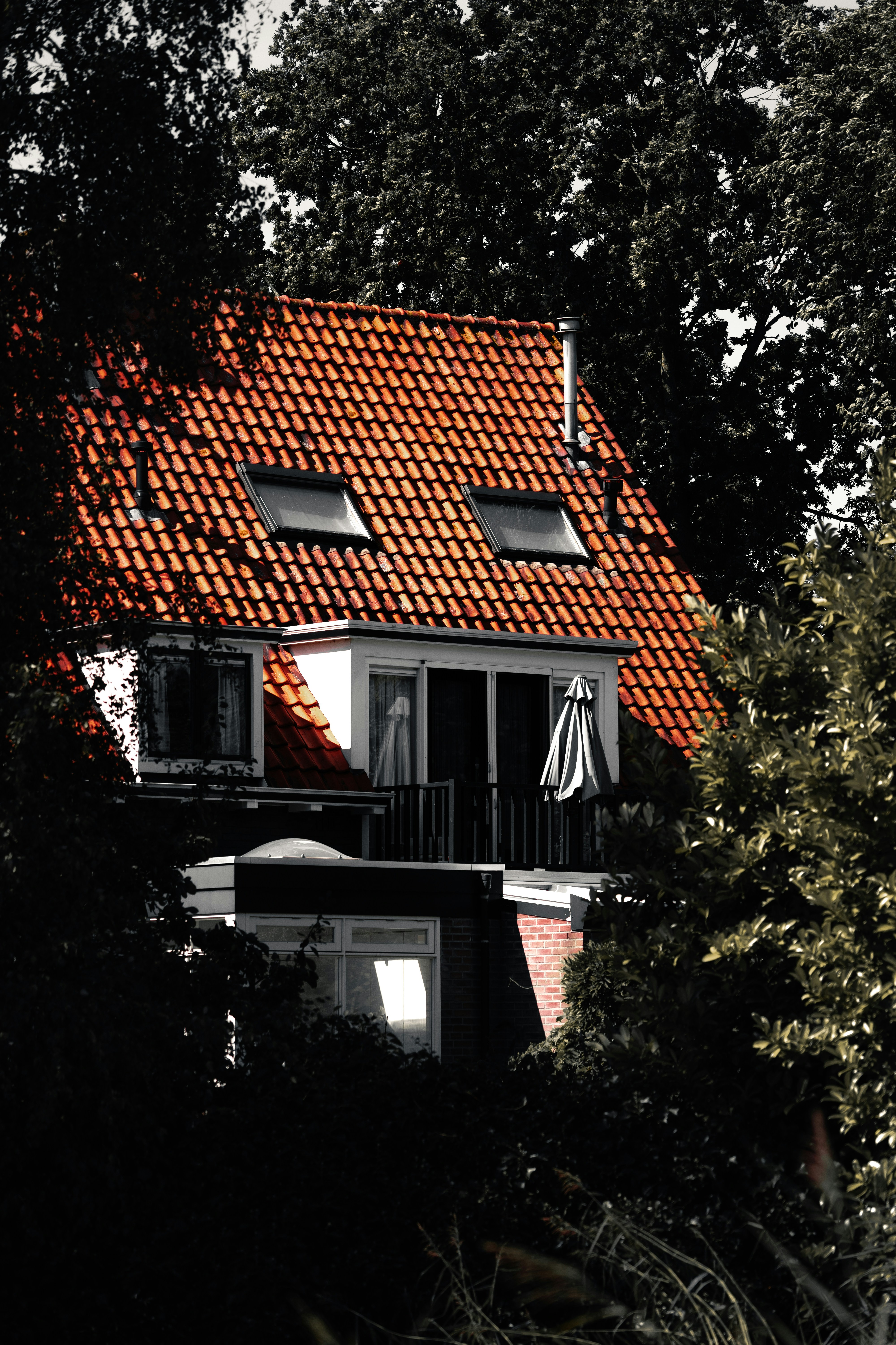 Crimson Roofline Framed by Shadowed Foliage