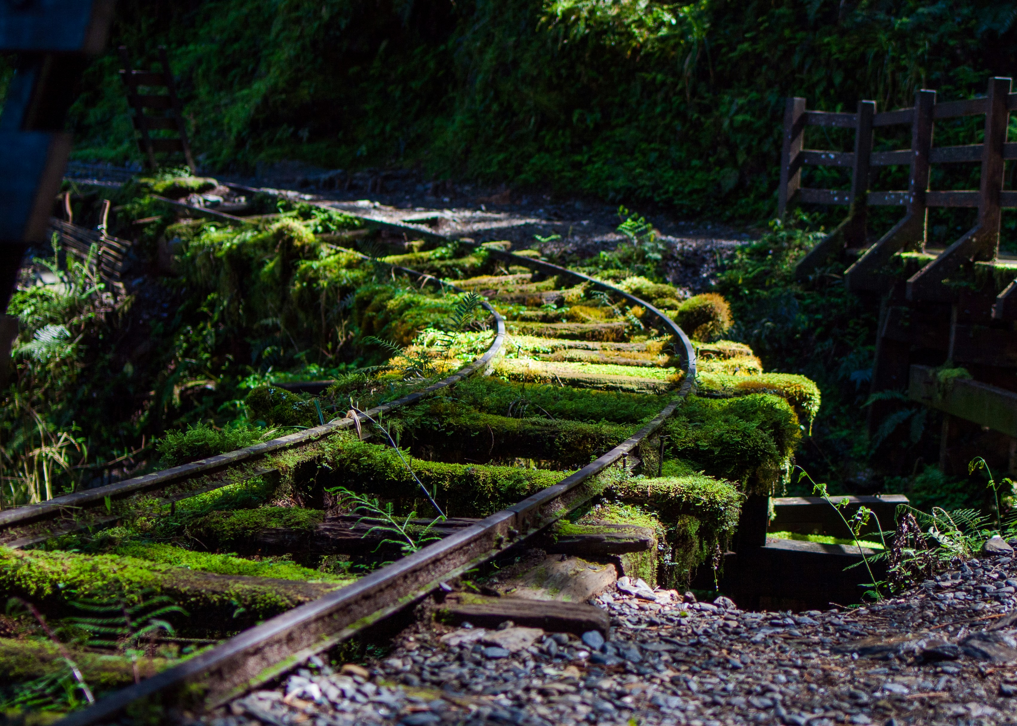 a stream with a bridge over it