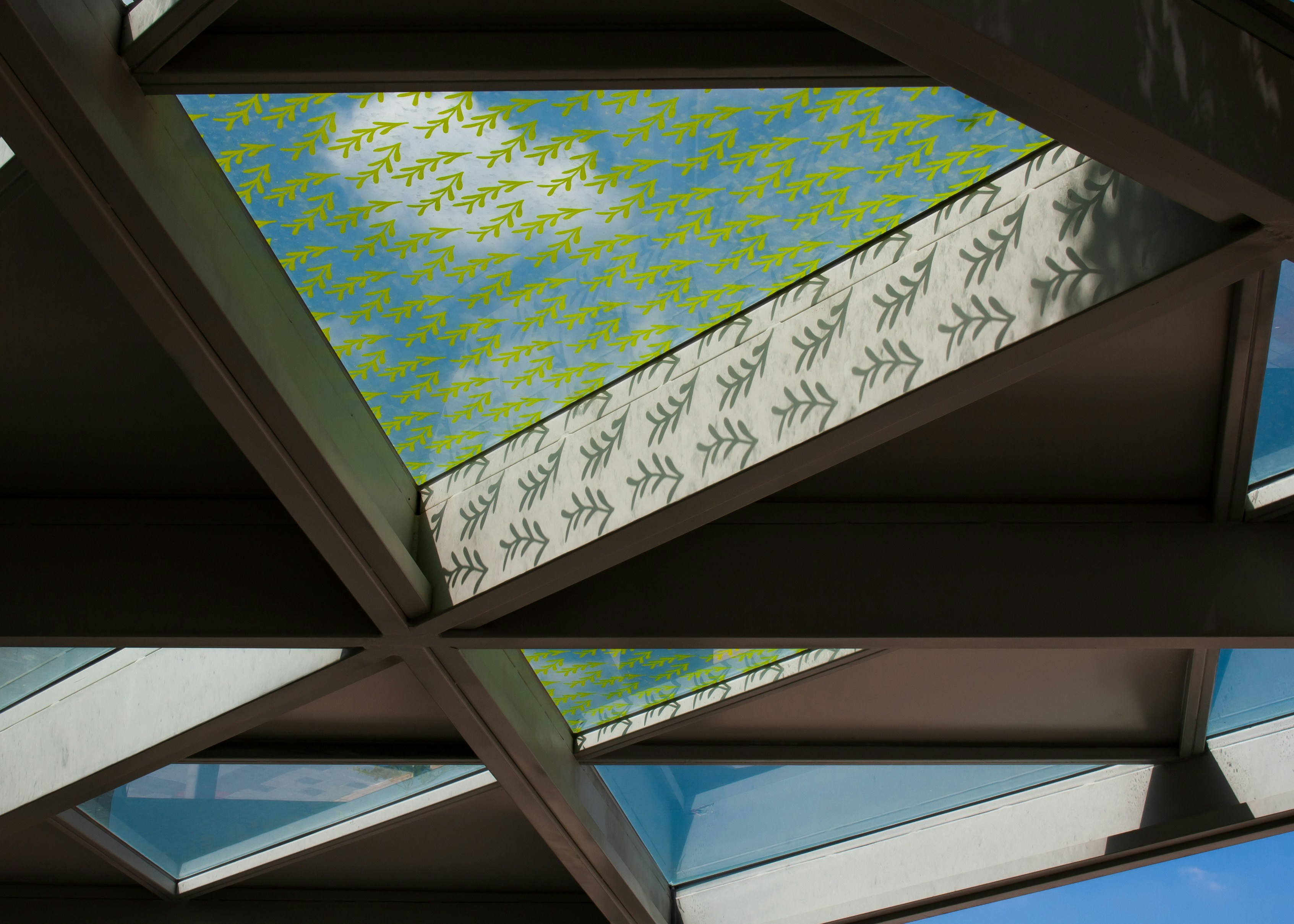 Photo by K.T. Francis with Canon EOS 400D