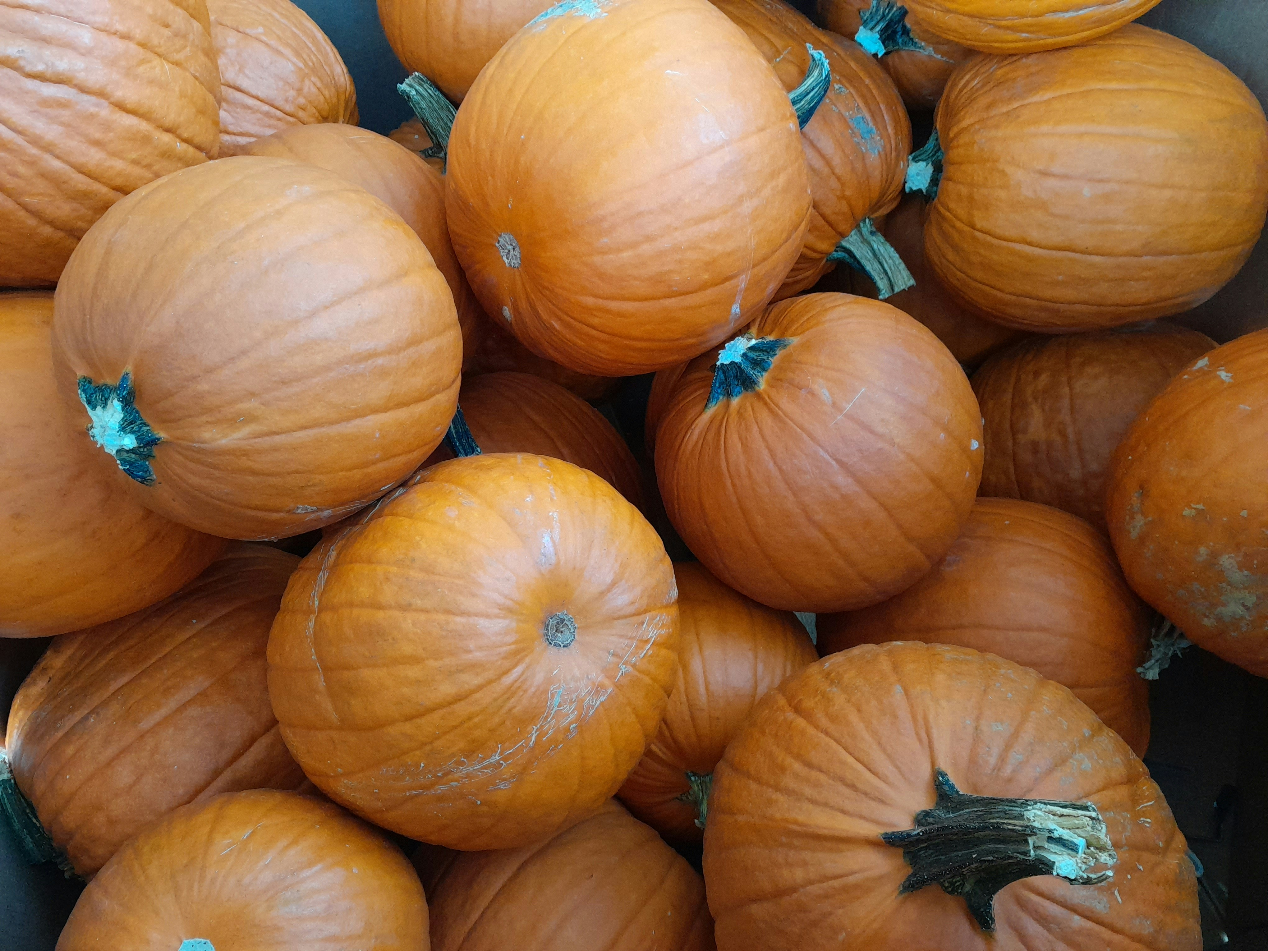 A collection of bright orange pumpkins piled together, showcasing their round shapes and green stems.