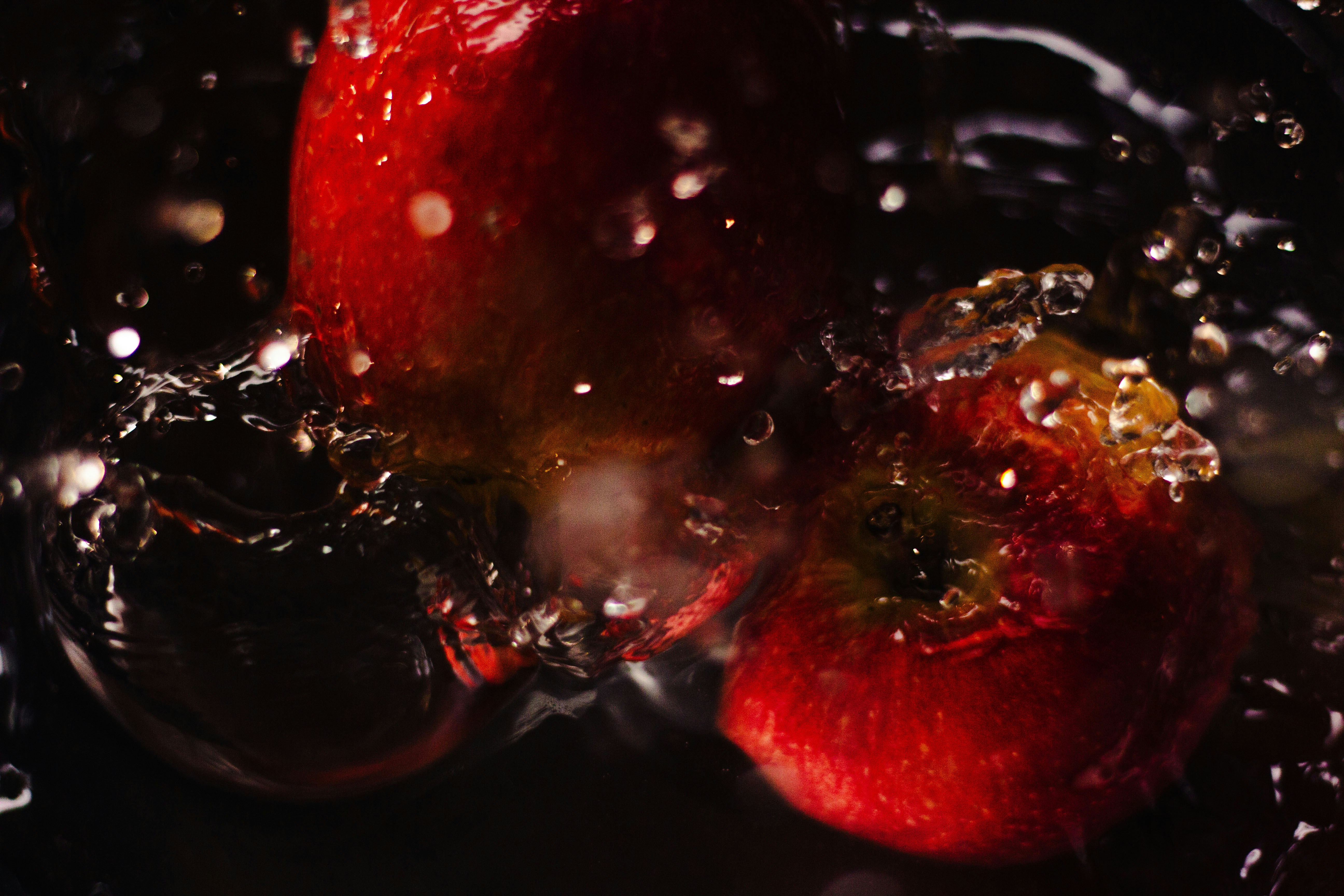 Une méduse rouge et blanche photo – Photo Aliments Gratuite sur Unsplash