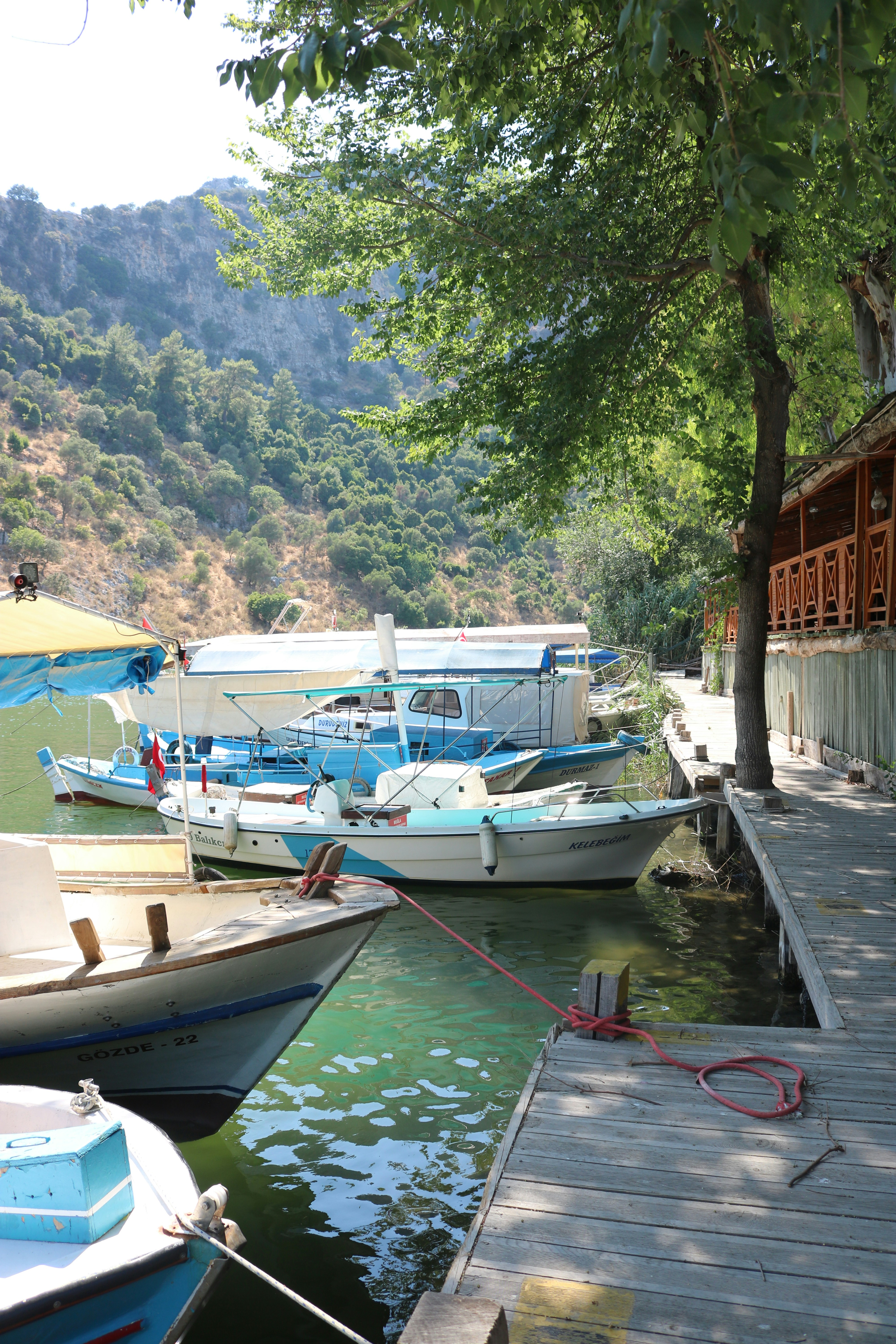 boats tied to a dock