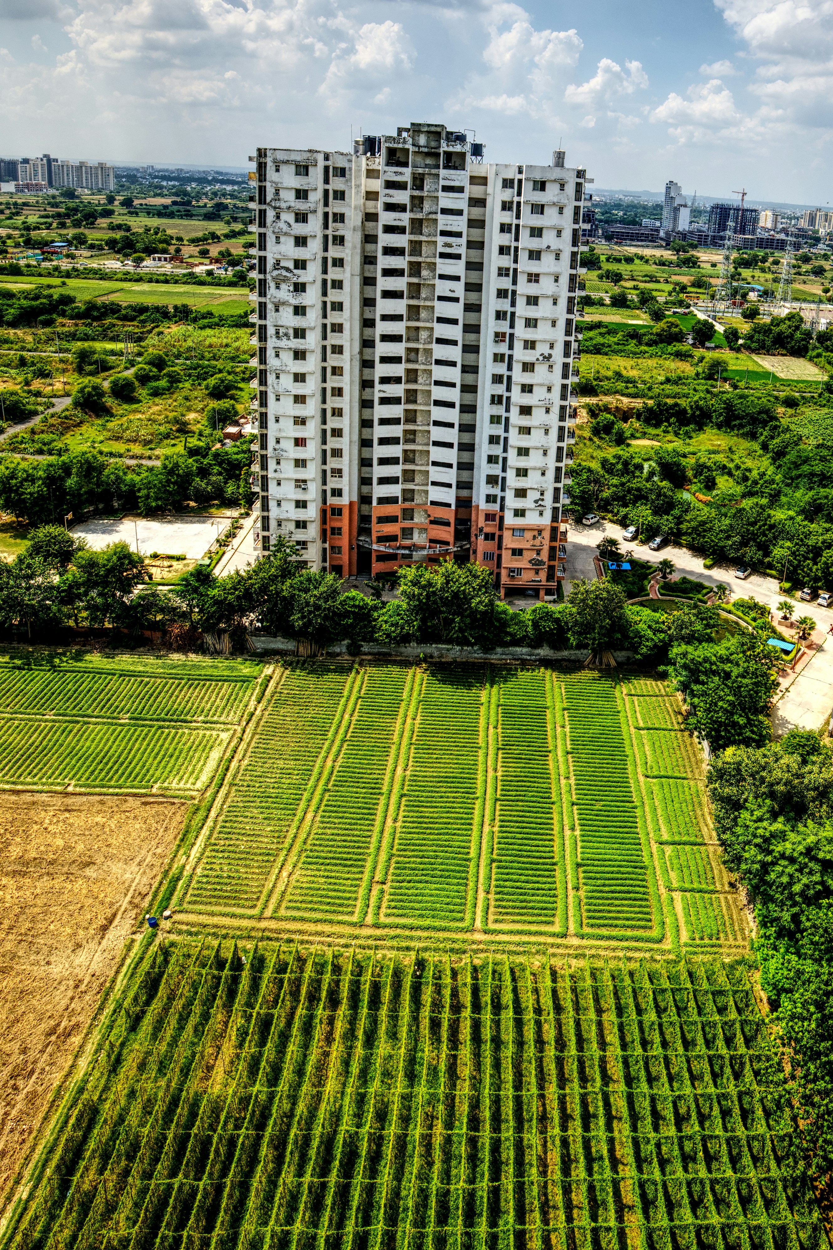 A tall building behind a field of crops photo – Free Hdr Image on Unsplash