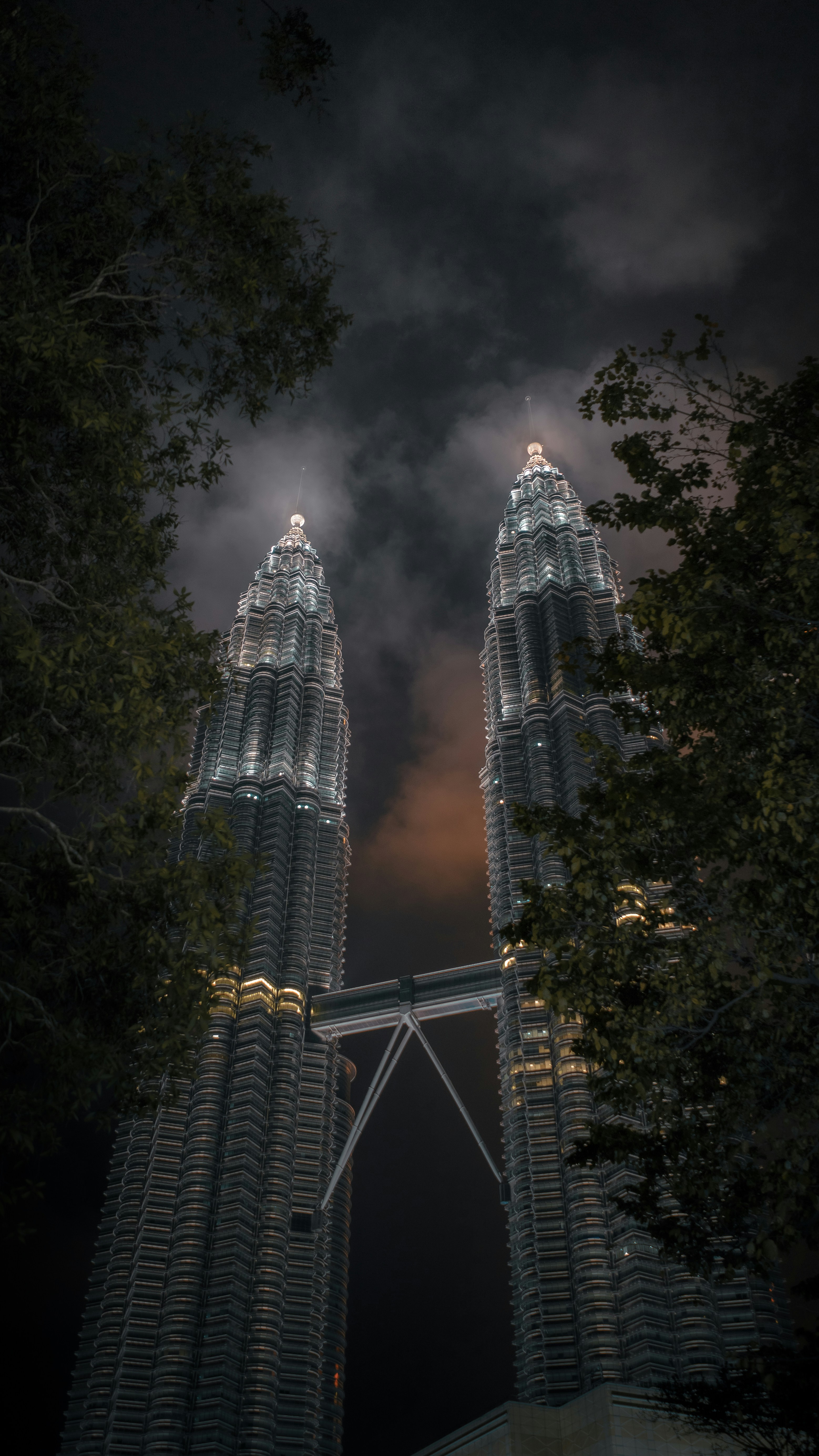 The Petronas Towers rise majestically against a moody sky, framed by lush foliage. Illuminated details highlight their intricate design.