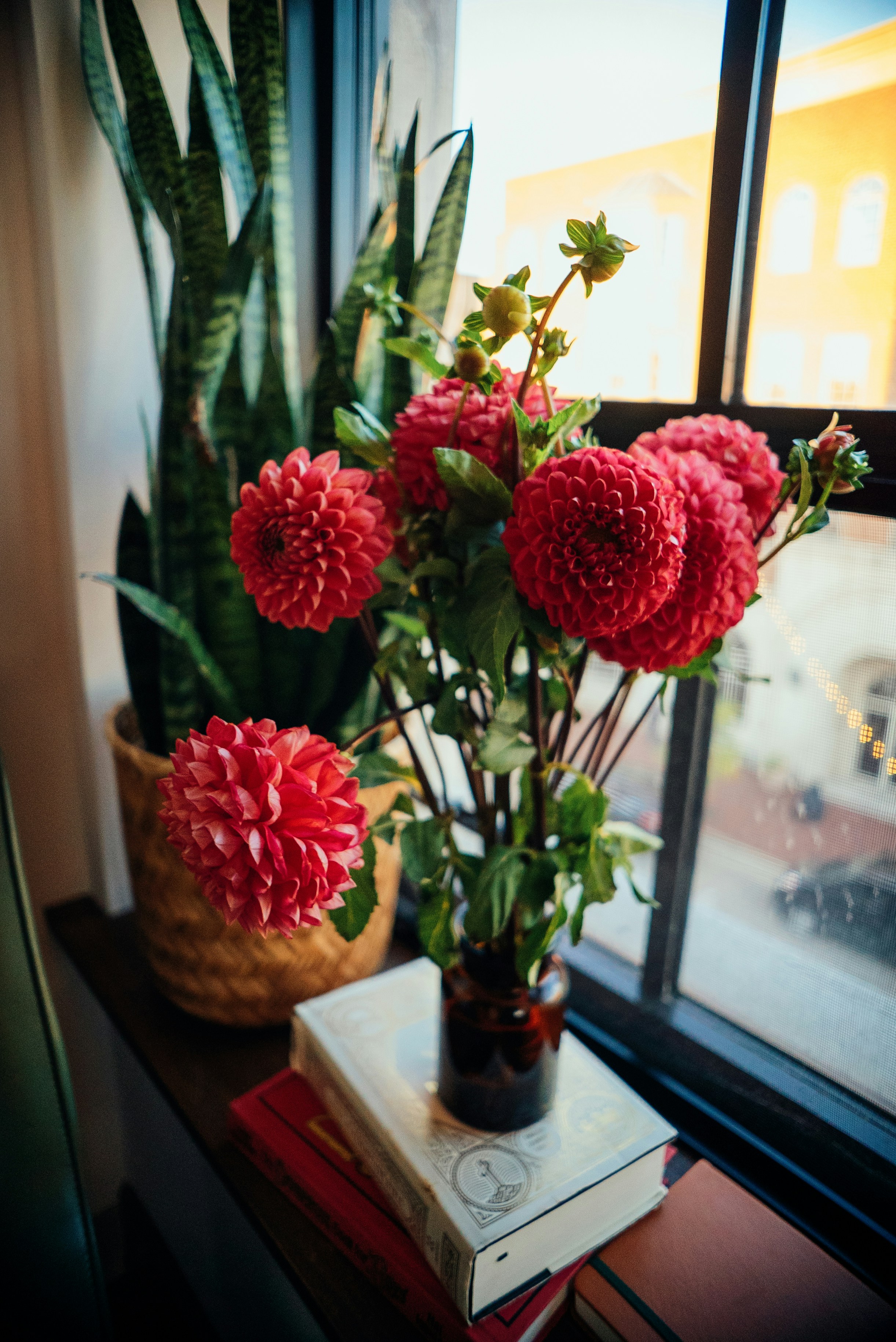 a vase of red flowers