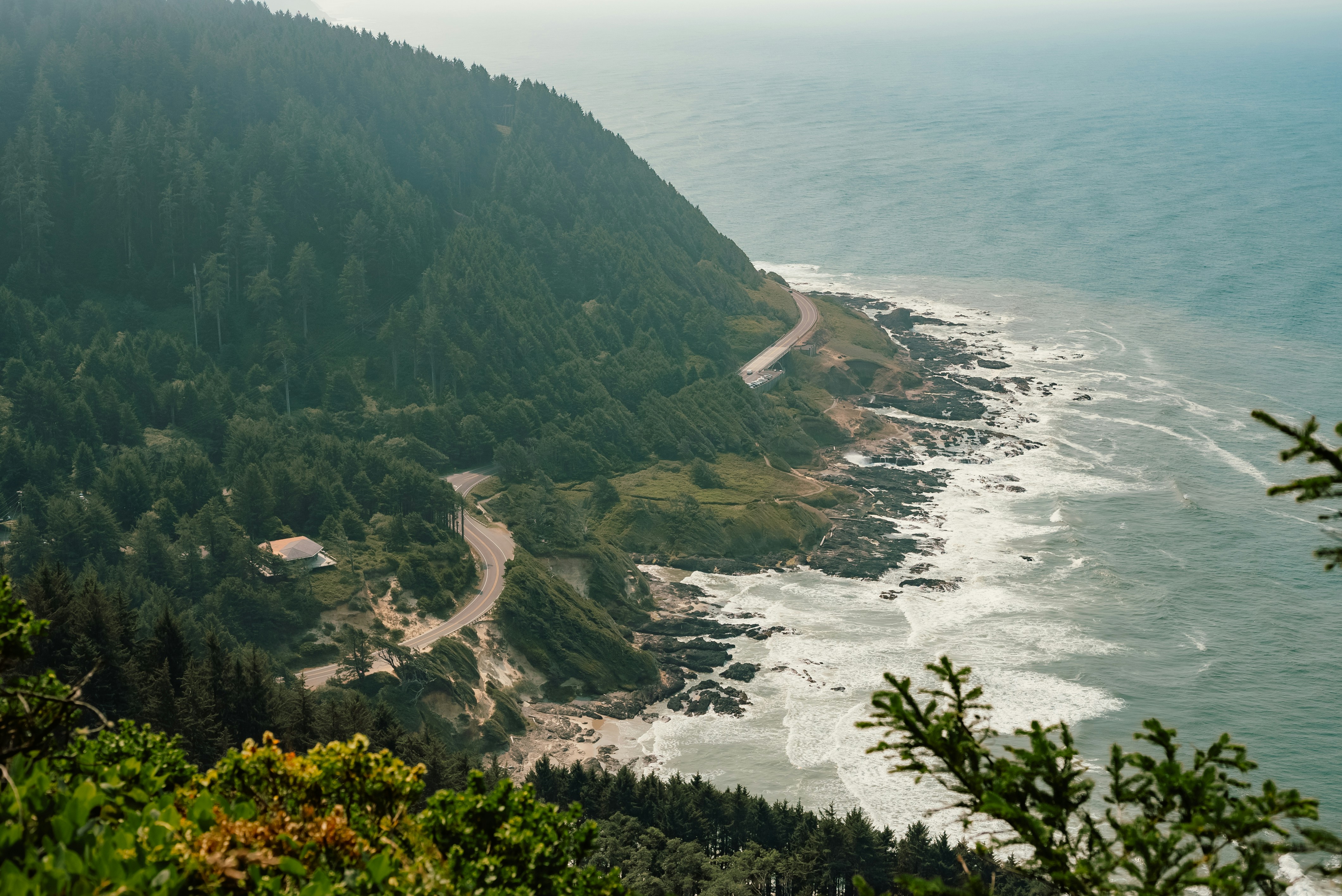 Littoral Switchback: Forested Clifftop Road Tracing the Sea