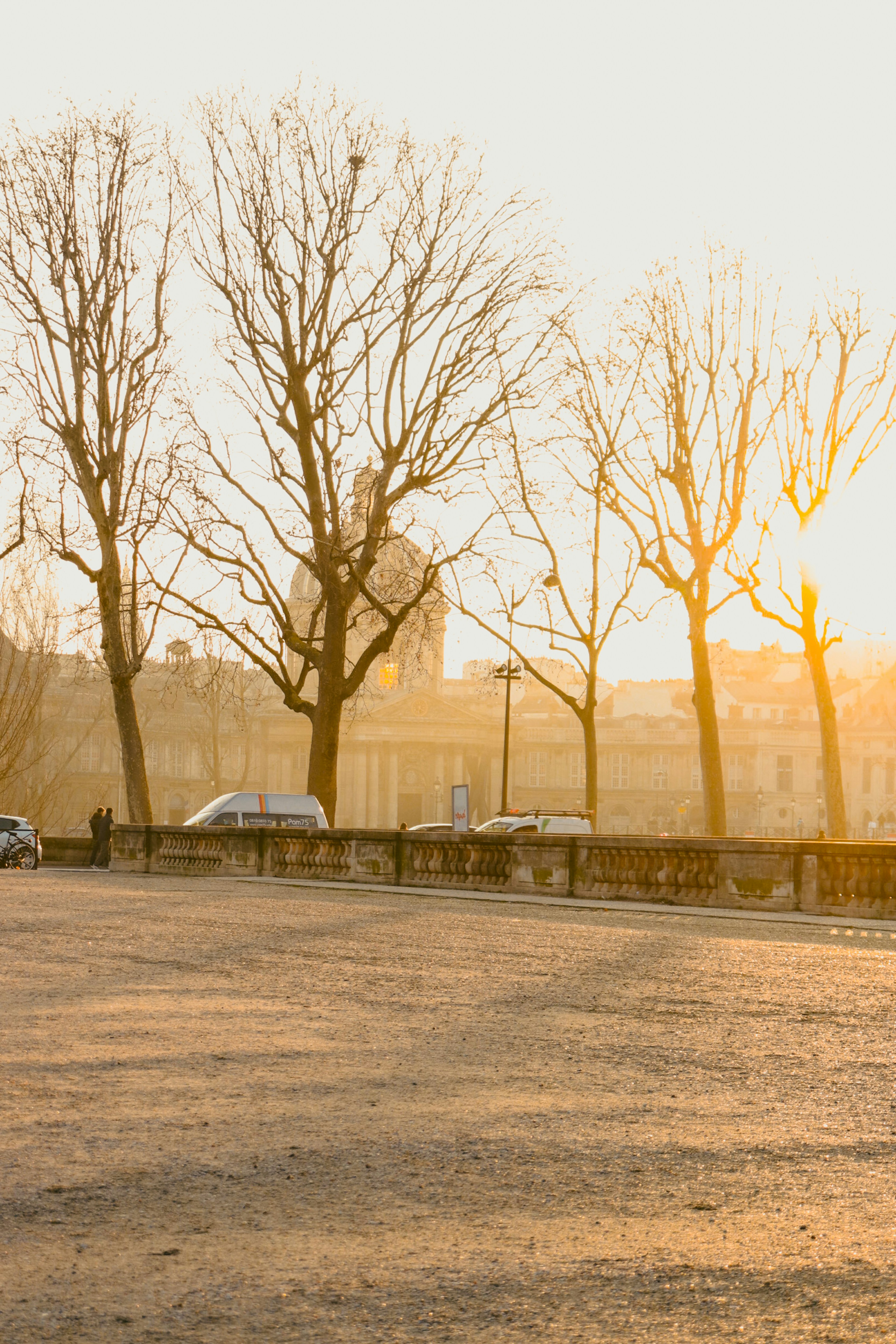 A group of trees next to a road photo – Free Paris Image on Unsplash
