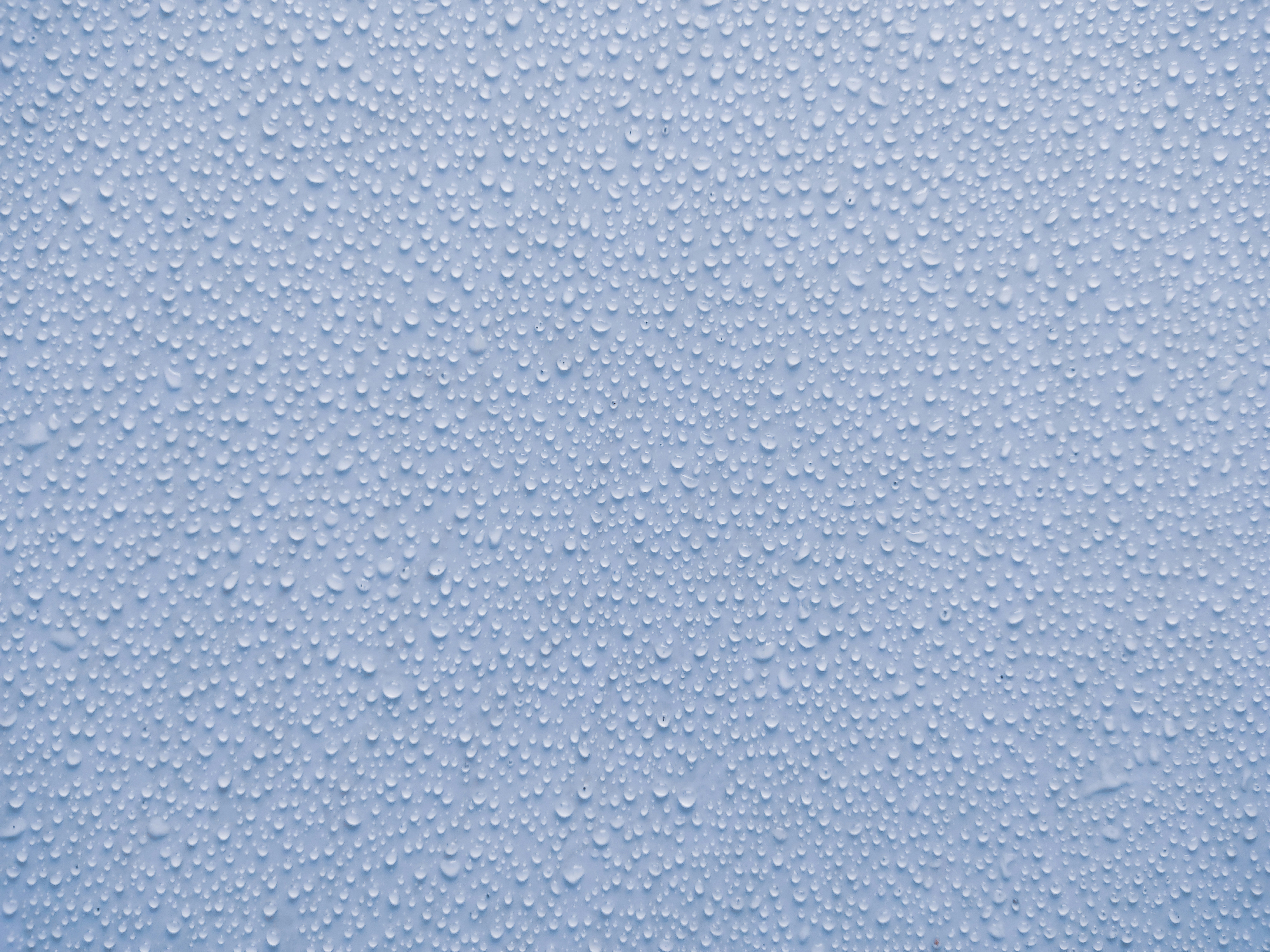 Photo by Sadat Alam Protik with Xiaomi Redmi Note 10 Lite