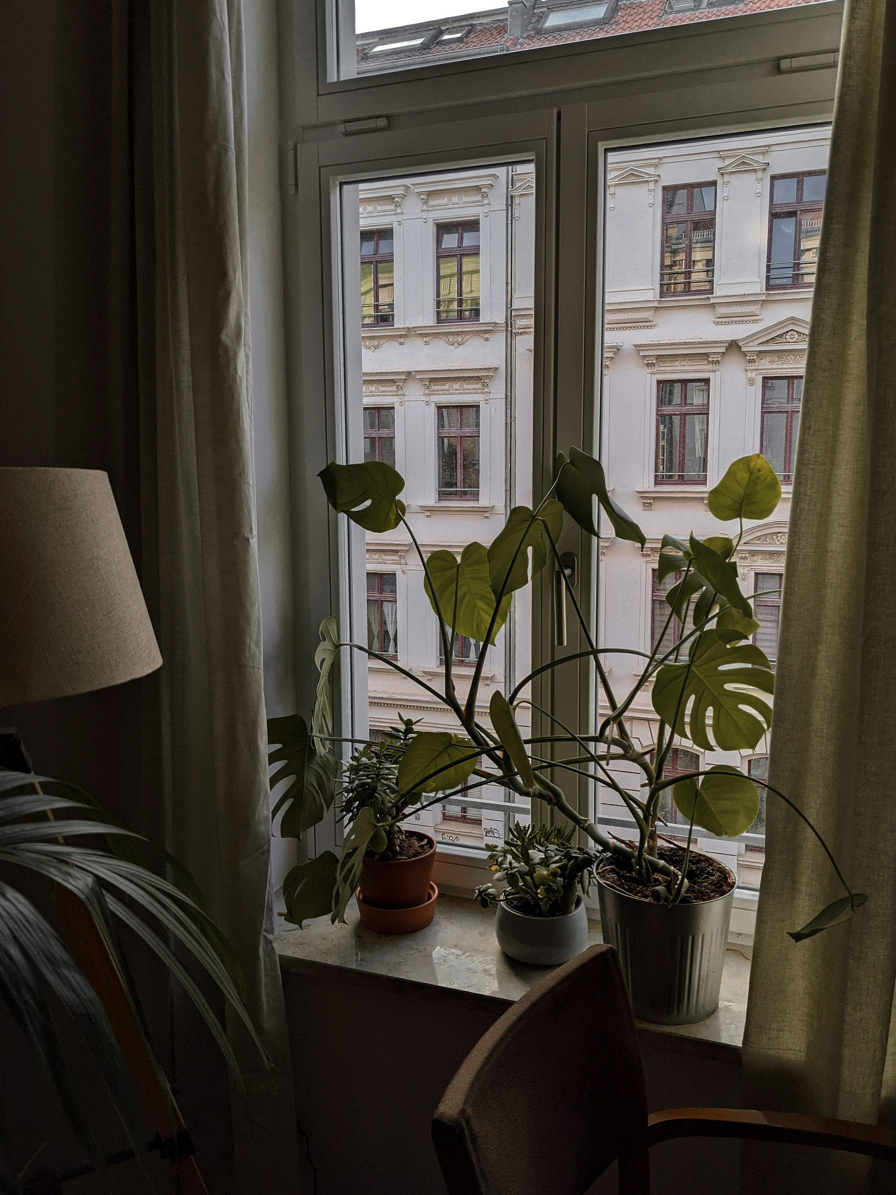 Indoor scene featuring potted plants on a windowsill with a city building visible through the window.