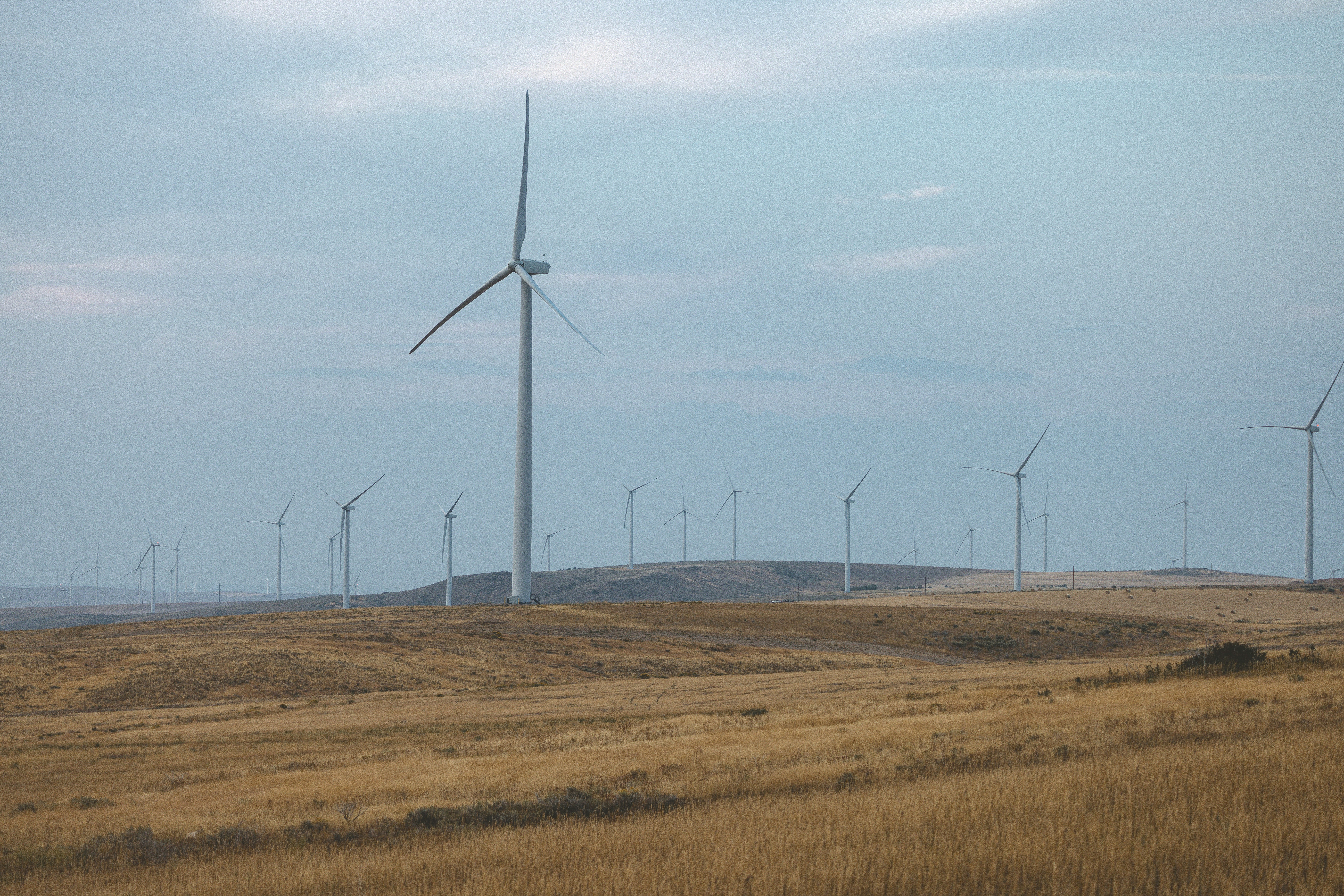 A field with windmills in it photo – Free Grey Image on Unsplash