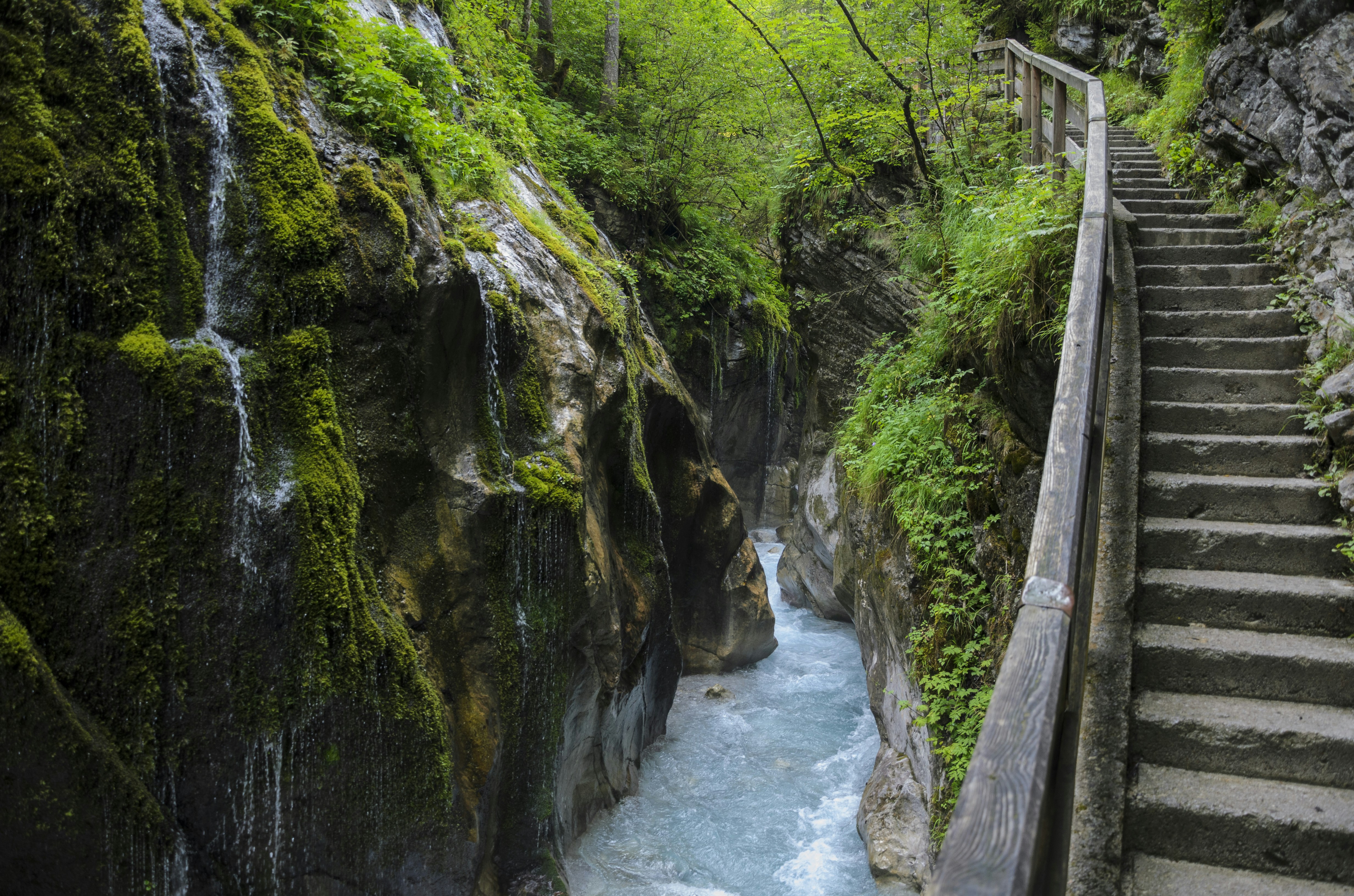 Runoff Pictures | Download Free Images on Unsplash