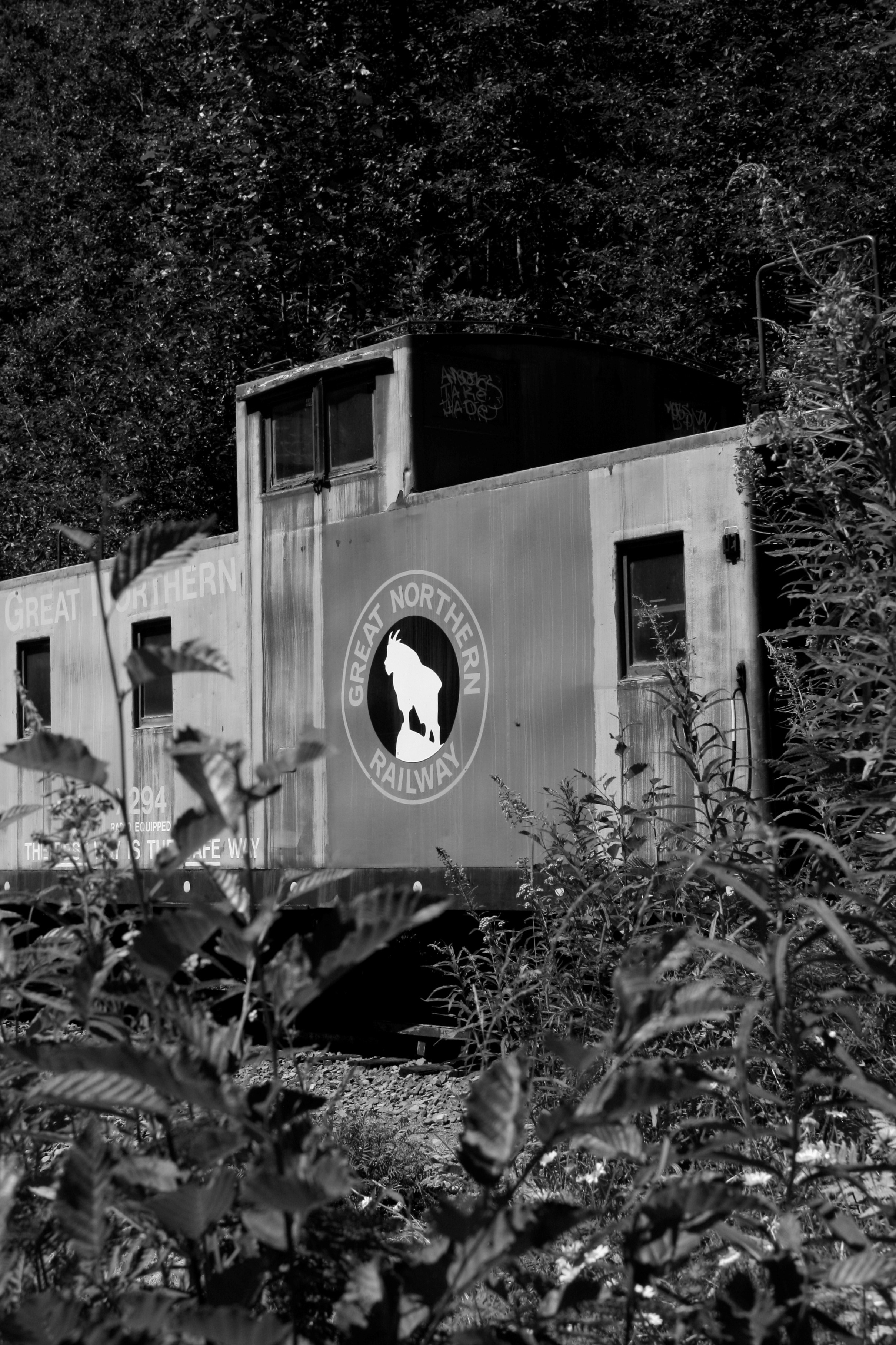 Overgrown Relic: The Great Northern Caboose in Quiet Perimeter