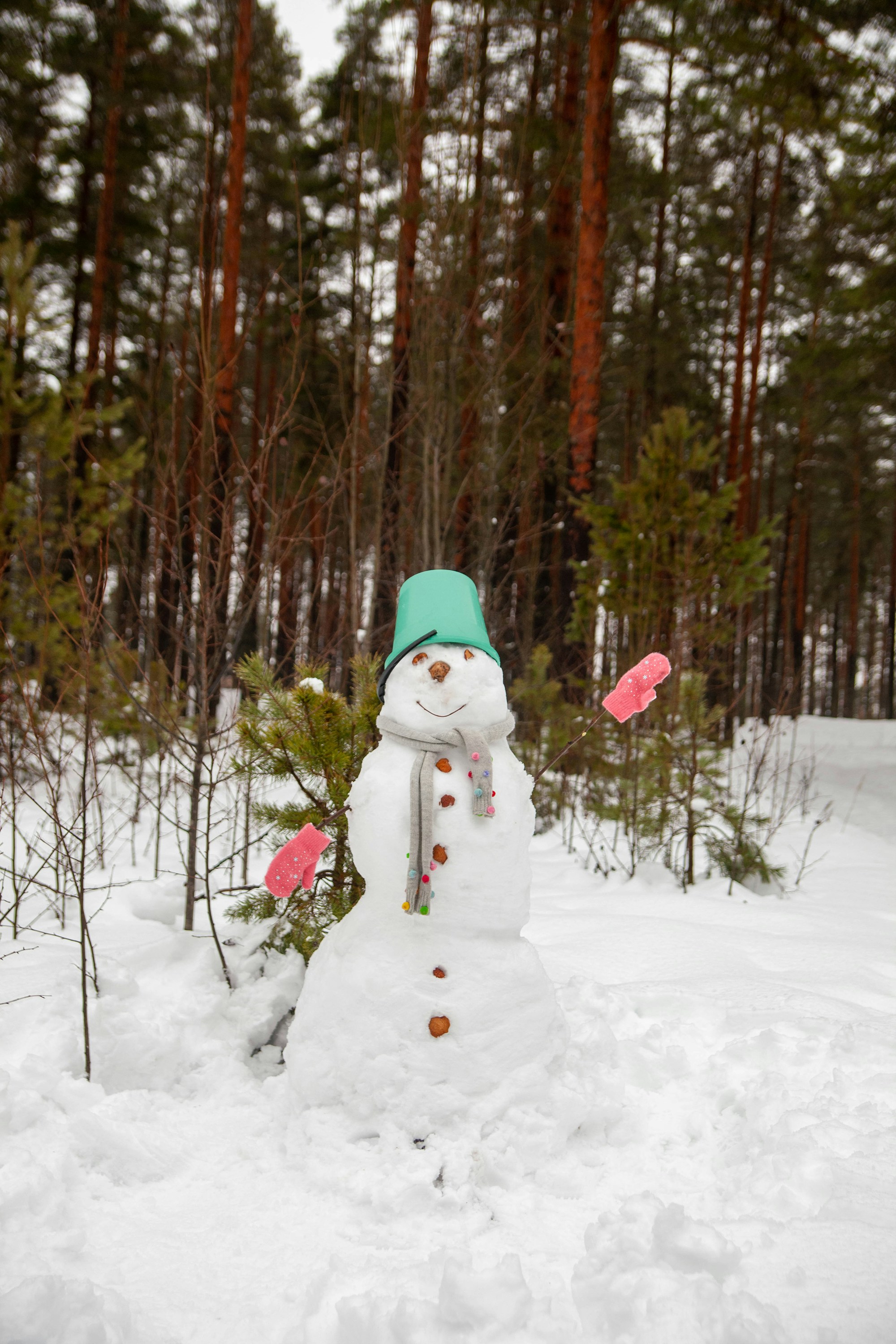 A snowman in a snowy forest photo – Free Nature Image on Unsplash