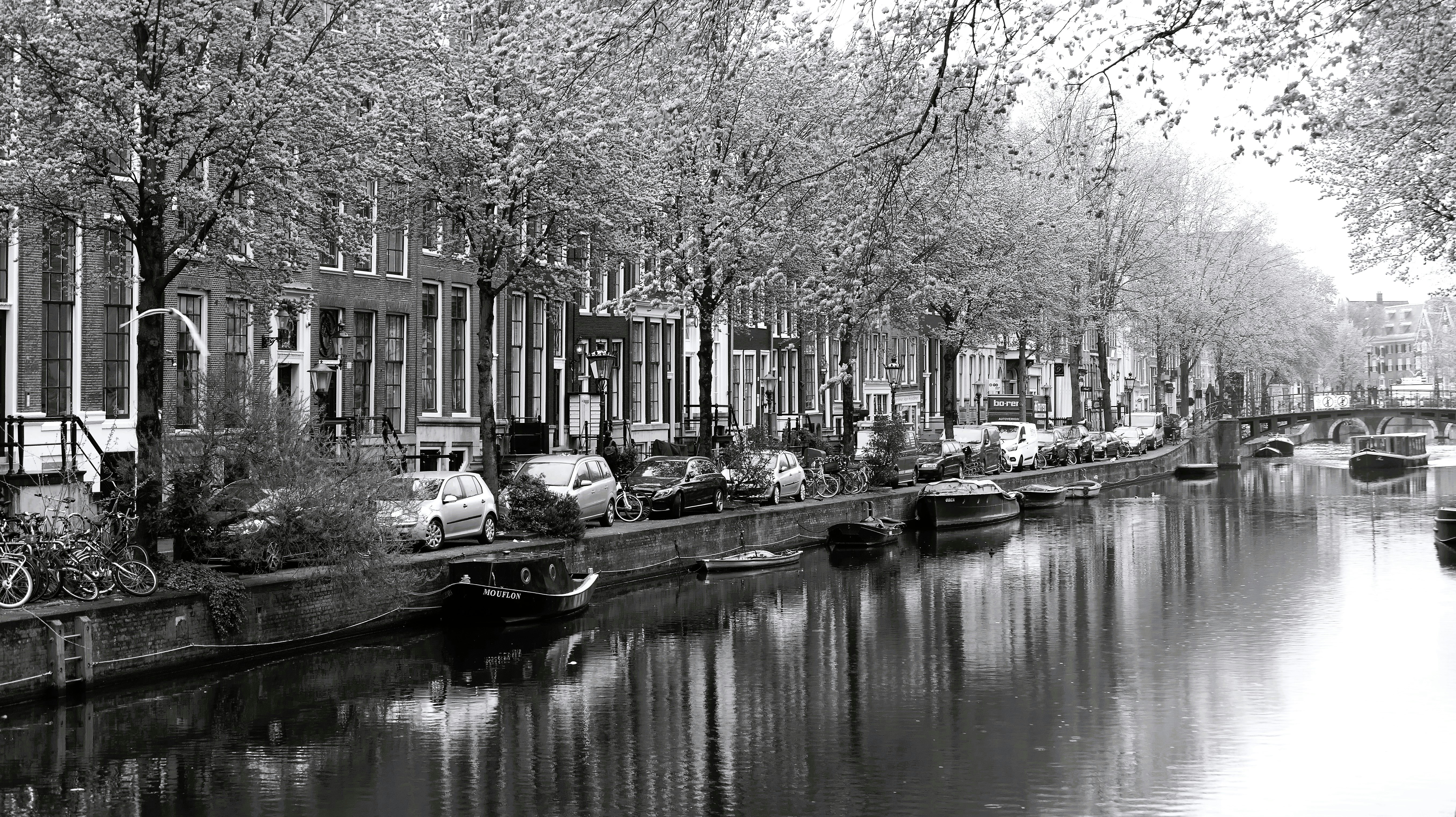 Sample photo from Leica V-Lux 5