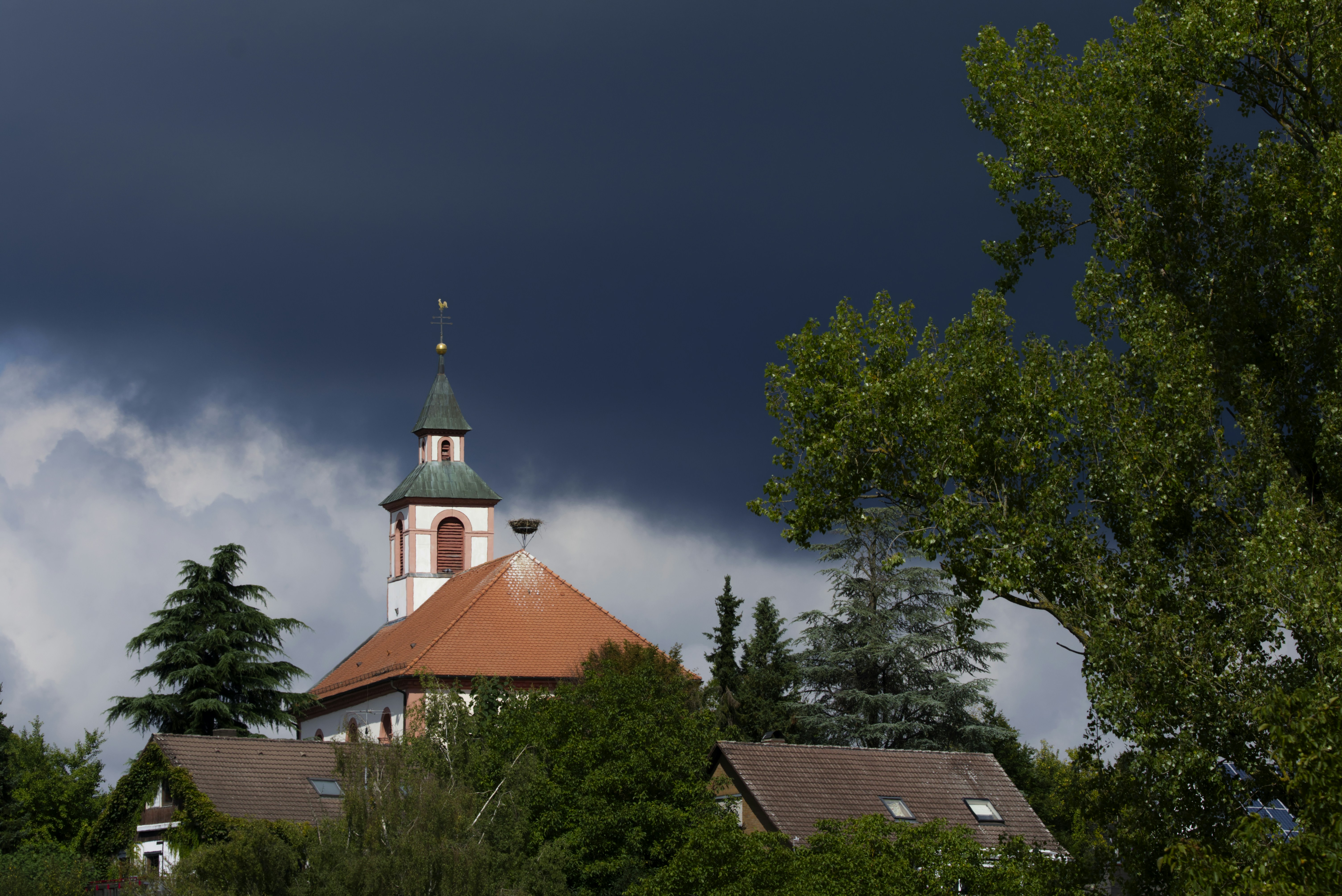 Photo by John Apps with Nikon D7200